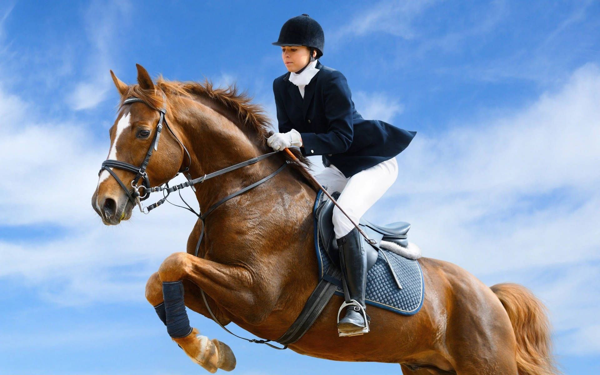 Saddle Wallpapers - Top Free Saddle Backgrounds - WallpaperAccess