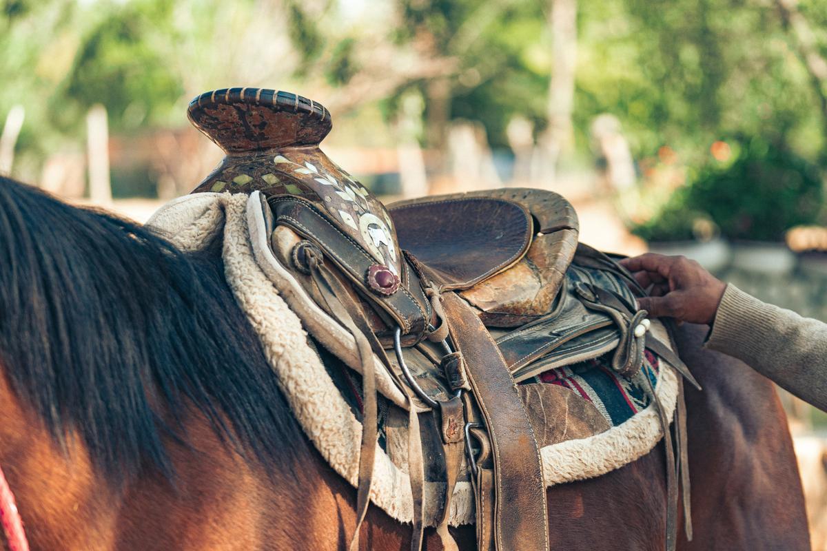 Saddle Wallpapers - Top Free Saddle Backgrounds - WallpaperAccess