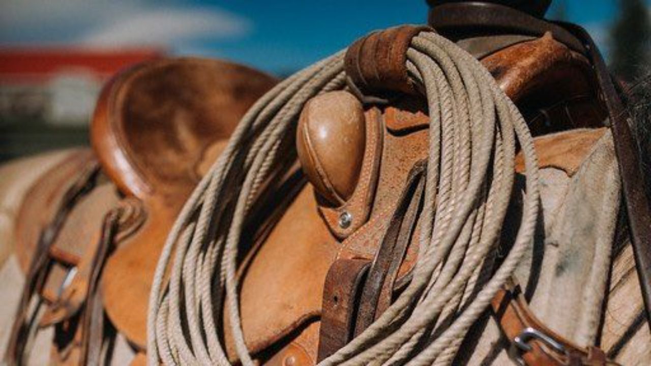 Saddle Wallpapers - Top Free Saddle Backgrounds - WallpaperAccess