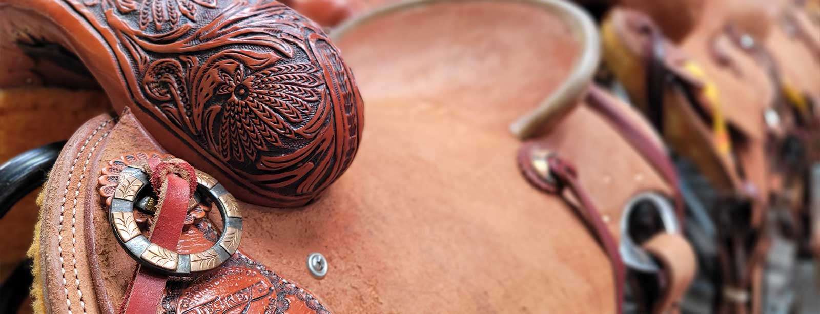 Saddle Wallpapers - Top Free Saddle Backgrounds - WallpaperAccess