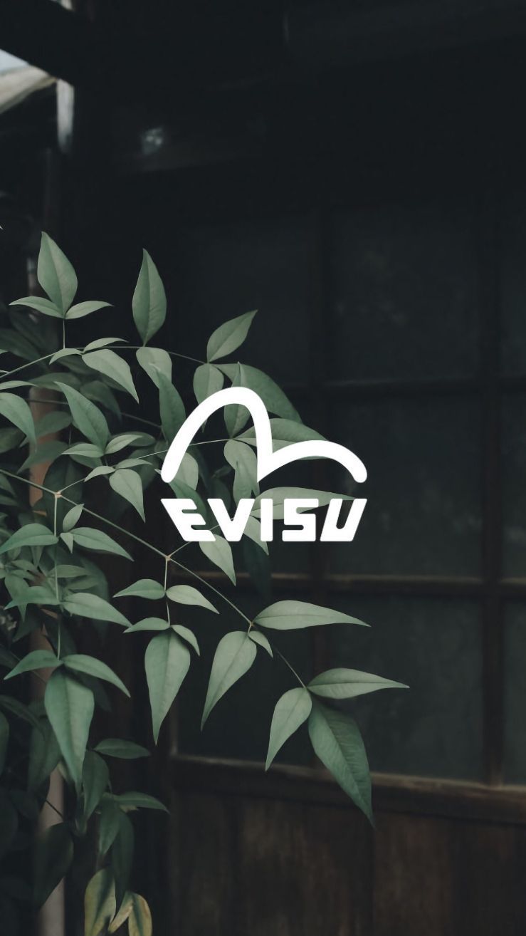 Evisu Wallpapers - Top Free Evisu Backgrounds - WallpaperAccess