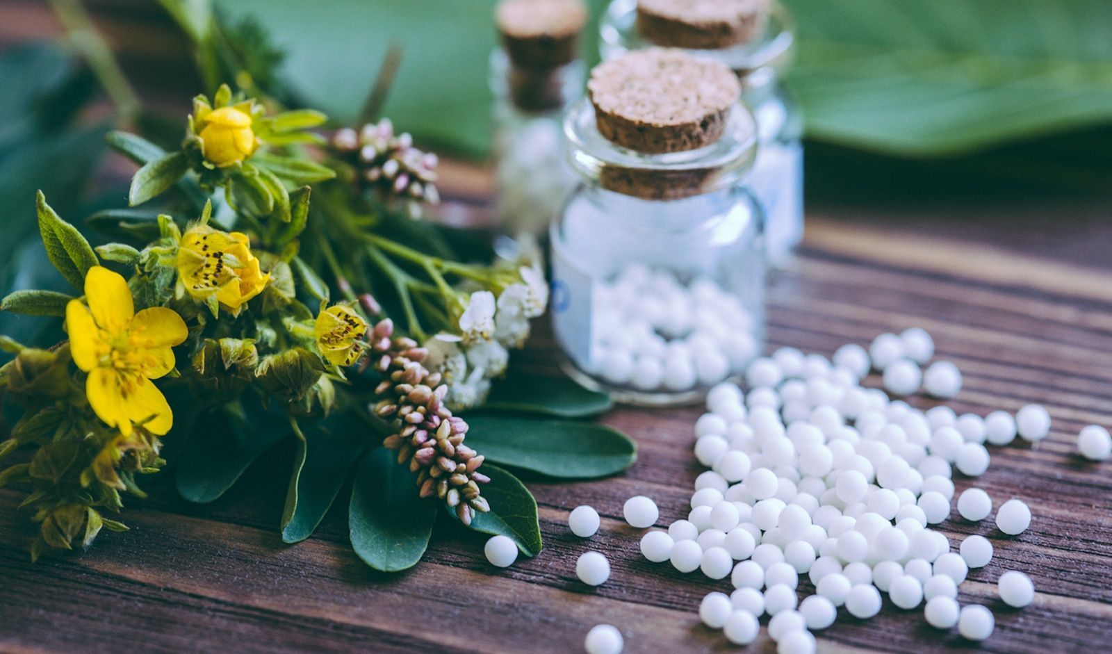 Homeopathy Wallpapers - Top Free Homeopathy Backgrounds - WallpaperAccess