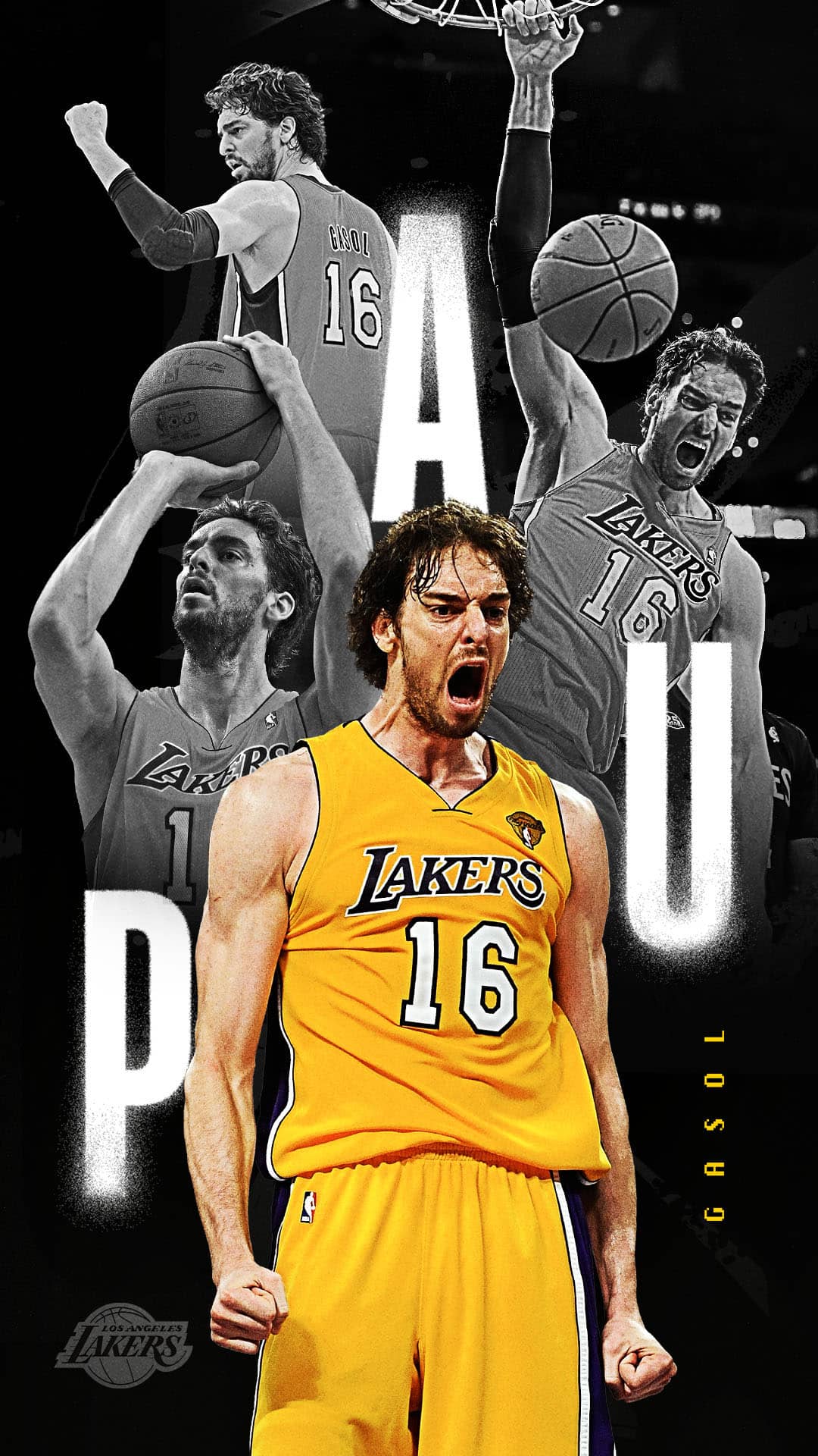 Pau Gasol Wallpapers - Top Free Pau Gasol Backgrounds - WallpaperAccess