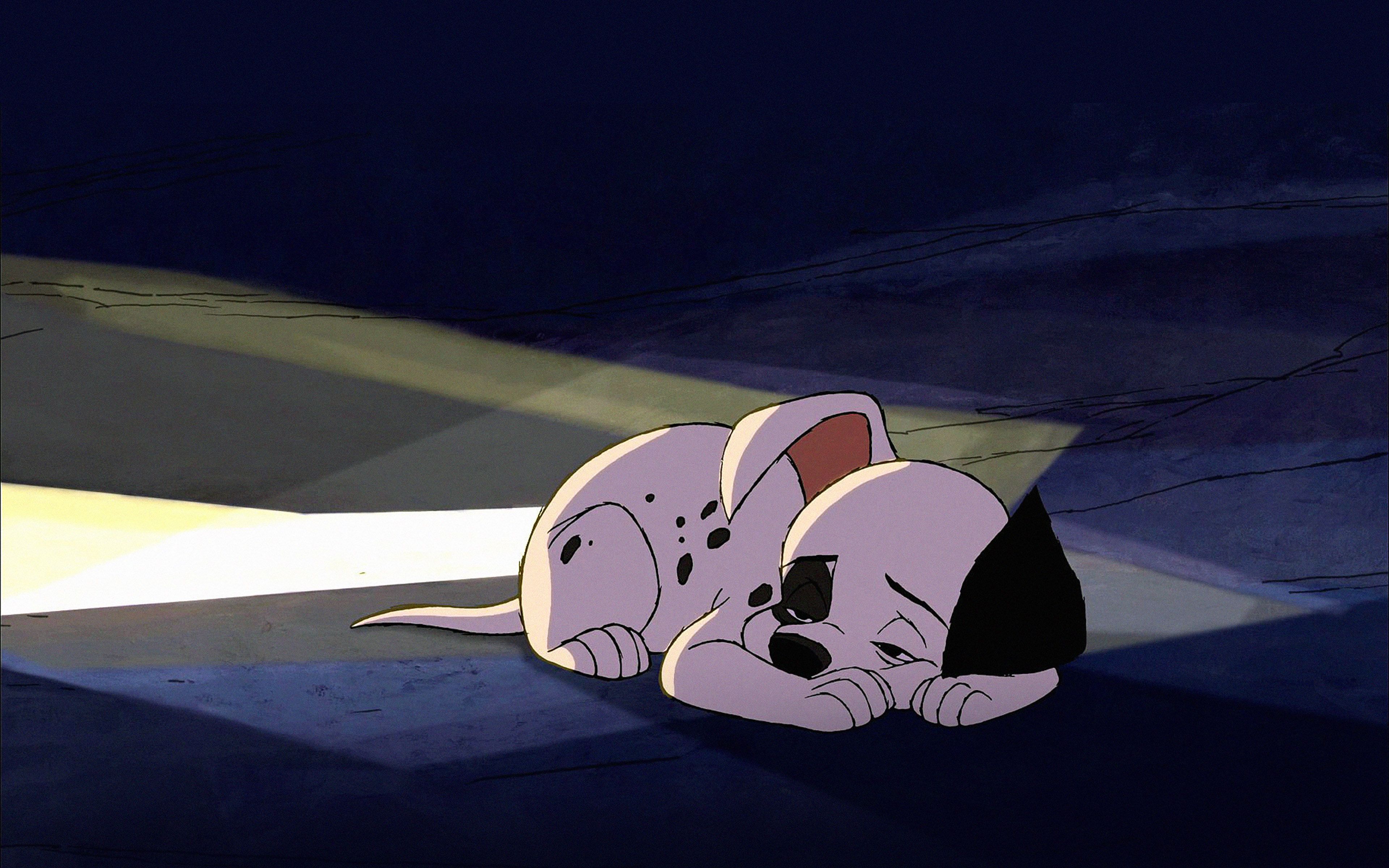 Pongo Wallpapers - Top Free Pongo Backgrounds - WallpaperAccess