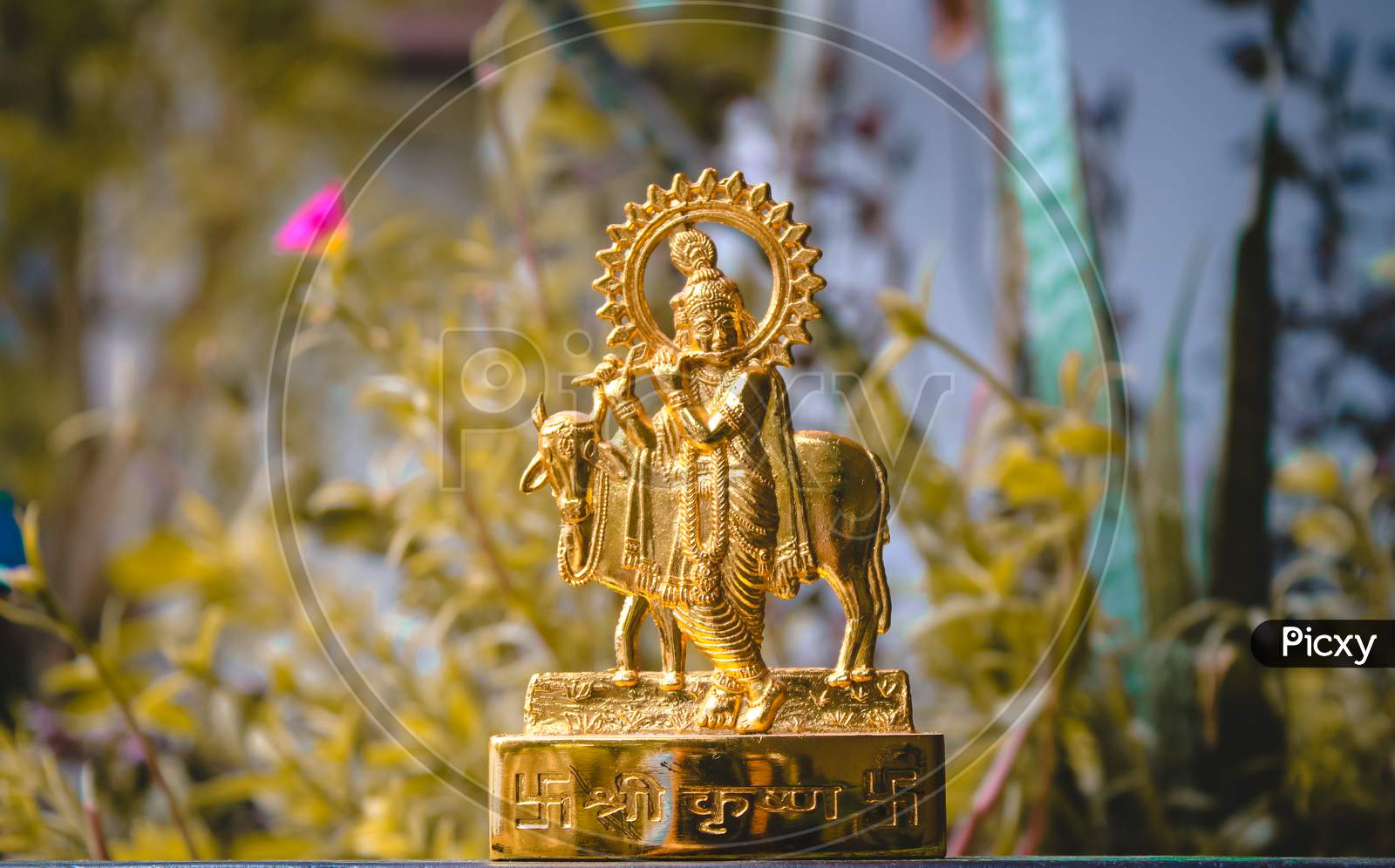 Dwarkadish Wallpapers - Top Free Dwarkadish Backgrounds - WallpaperAccess