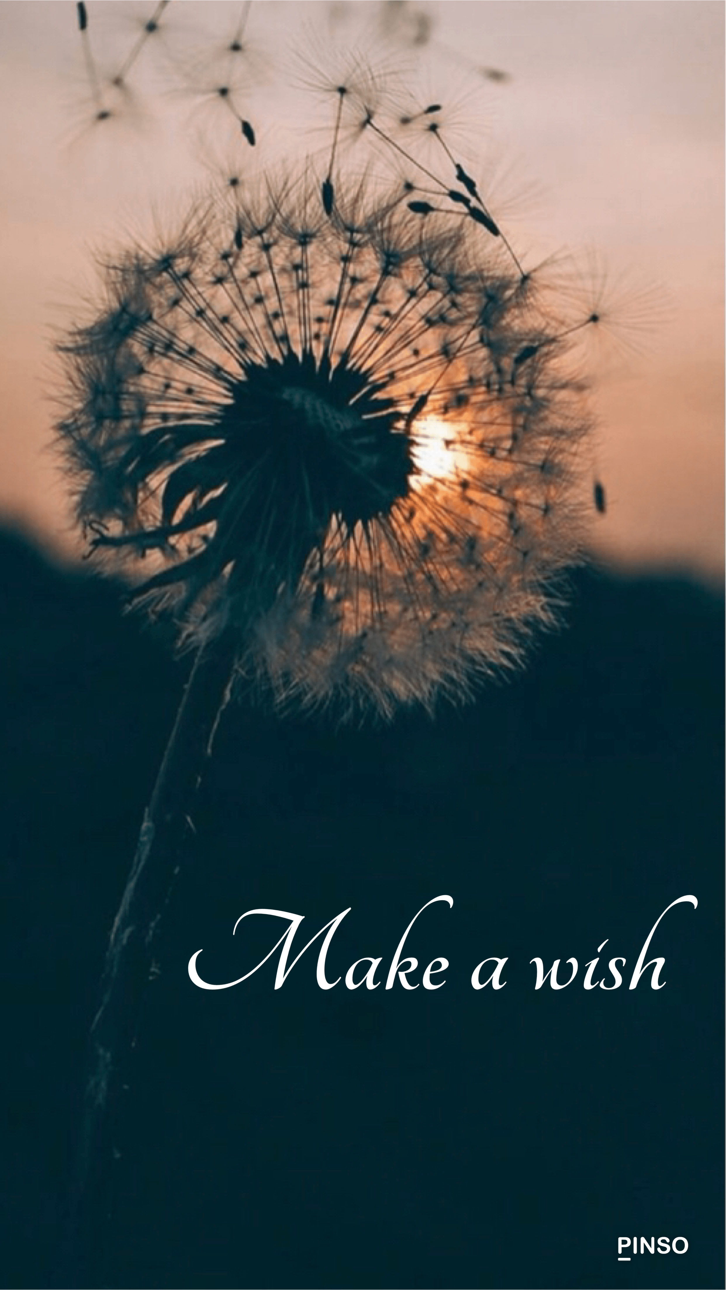 Make A Wish Wallpapers - Top Free Make A Wish Backgrounds - WallpaperAccess