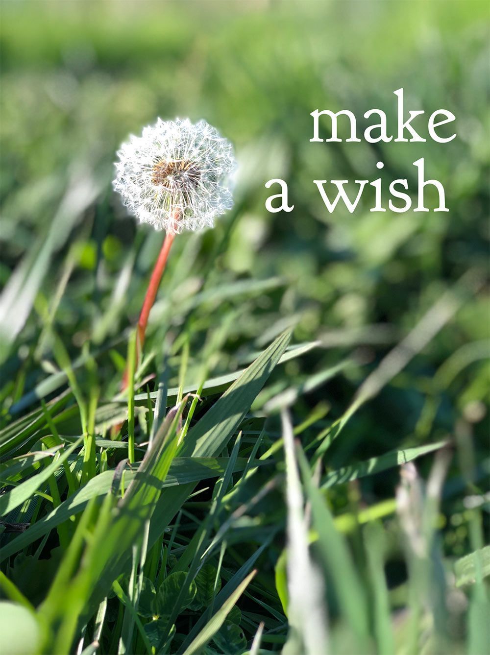 Make A Wish Wallpapers - Top Free Make A Wish Backgrounds - WallpaperAccess