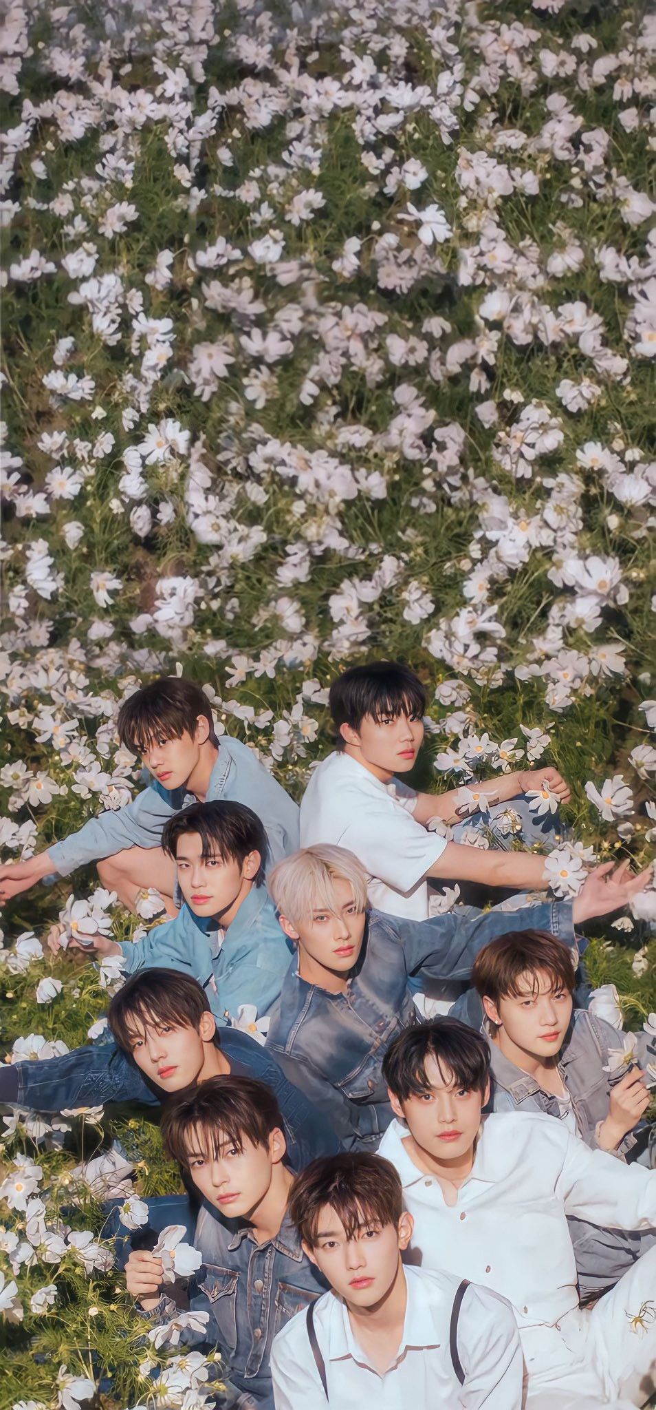 ZB1 Wallpapers - Top Free ZB1 Backgrounds - WallpaperAccess