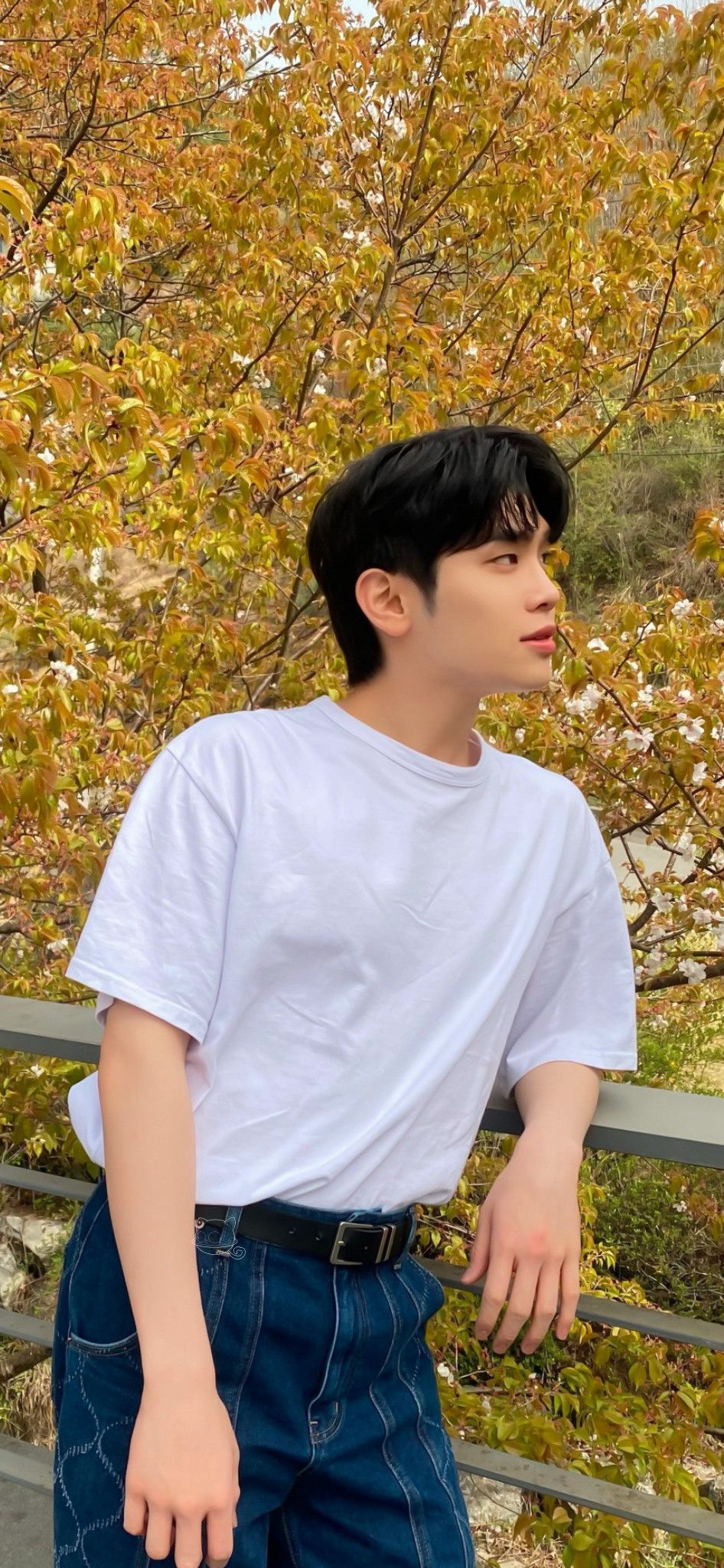 ZB1 Wallpapers - Top Free ZB1 Backgrounds - WallpaperAccess