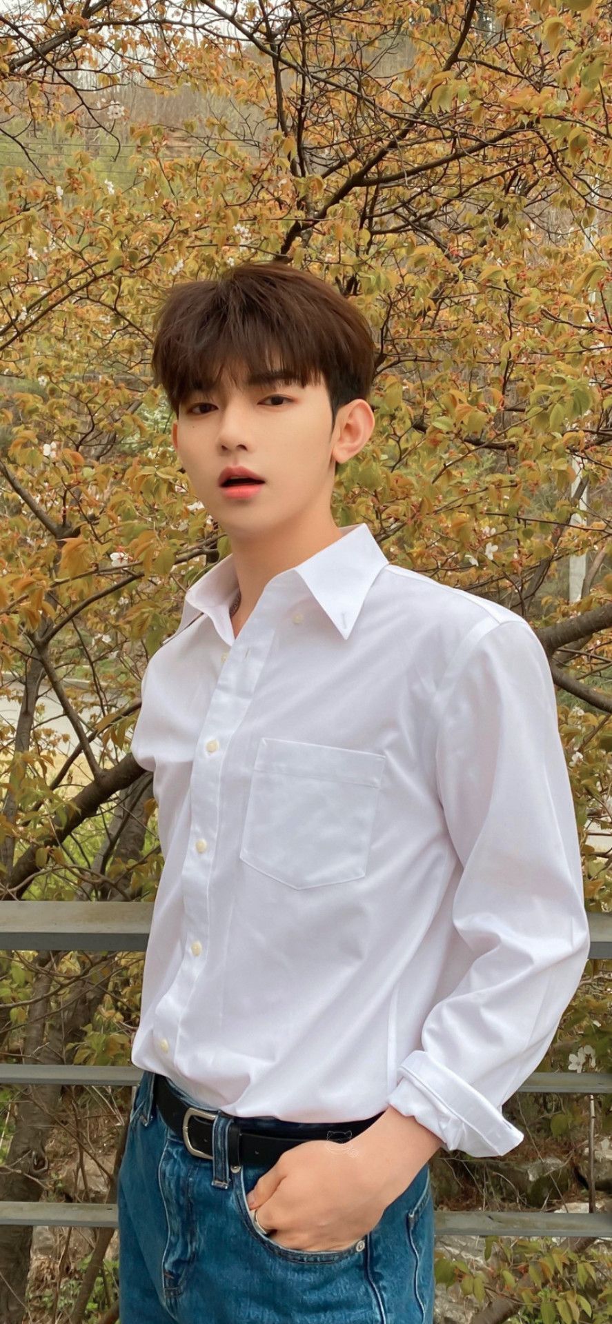 ZB1 Wallpapers - Top Free ZB1 Backgrounds - WallpaperAccess