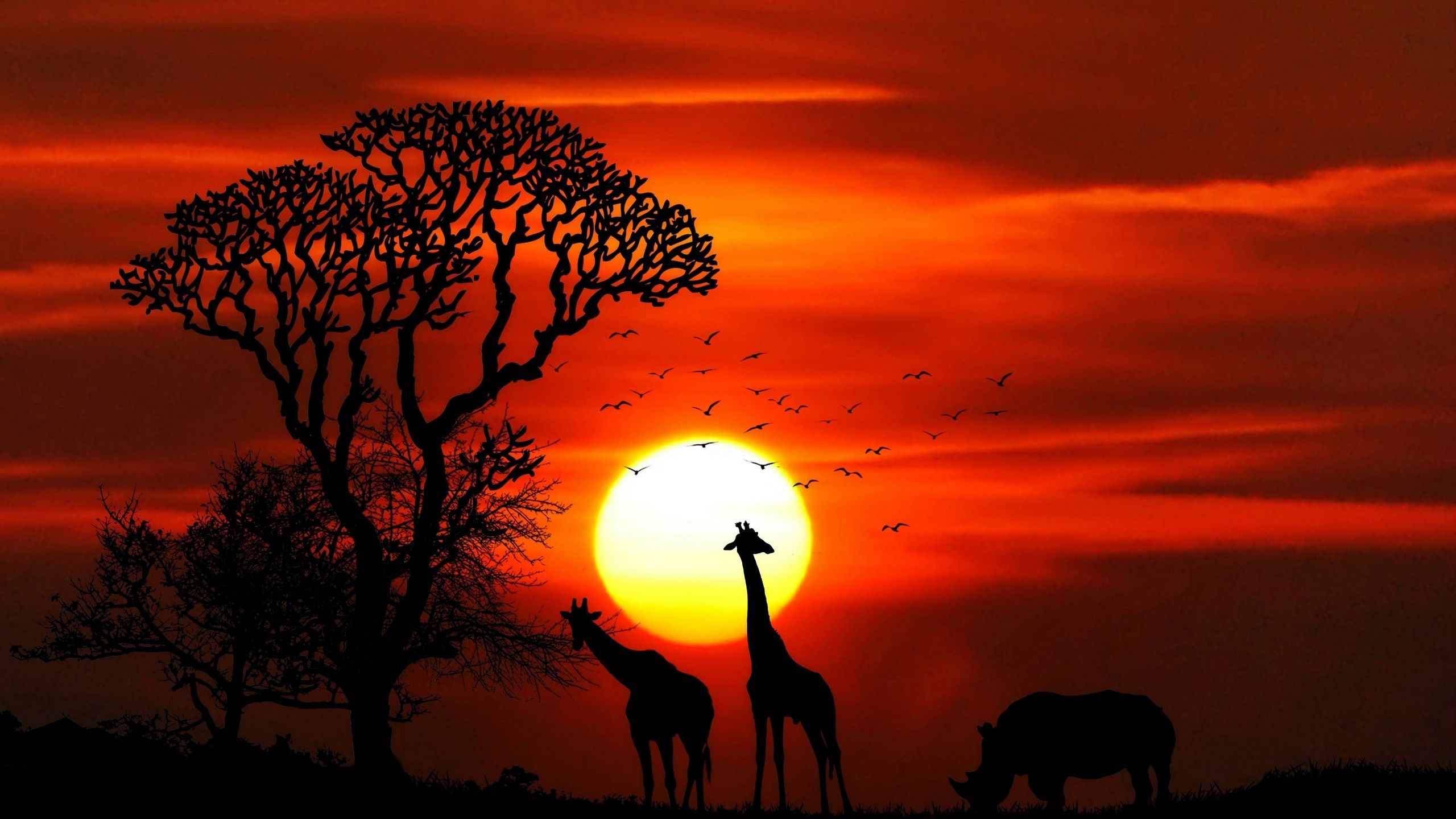 Animals In Nature Wallpapers - Top Free Animals In Nature Backgrounds ...