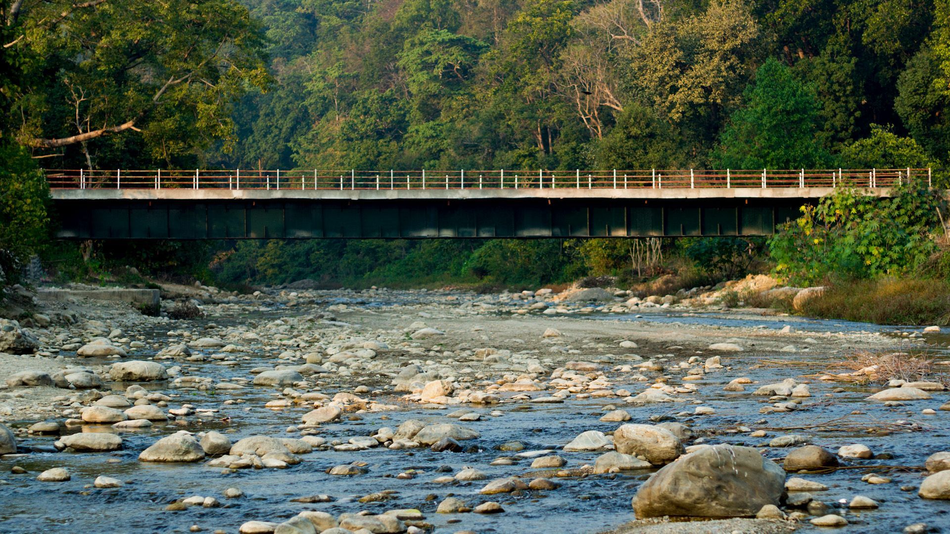 Jim Corbett Wallpapers - Top Free Jim Corbett Backgrounds - WallpaperAccess