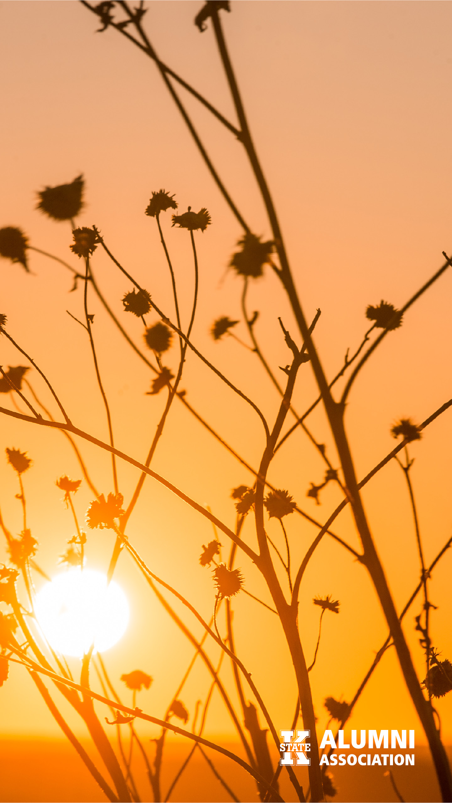 Association Wallpapers - Top Free Association Backgrounds - WallpaperAccess