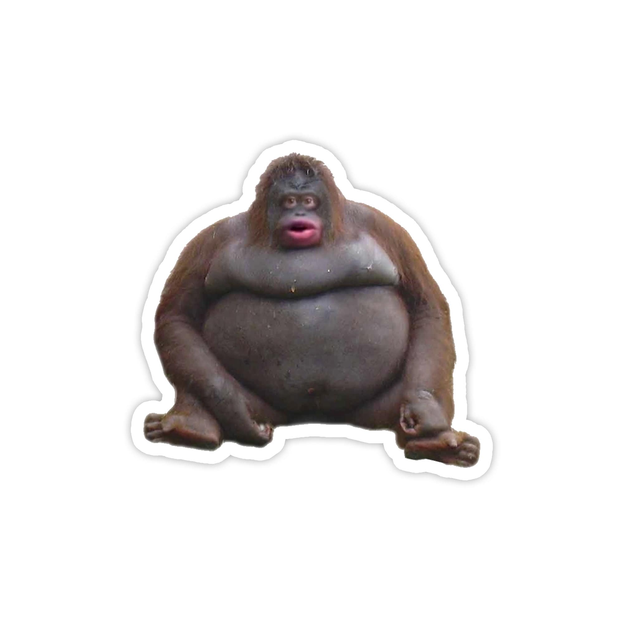 Uh Oh Stinky Wallpapers - Top Free Uh Oh Stinky Backgrounds ...