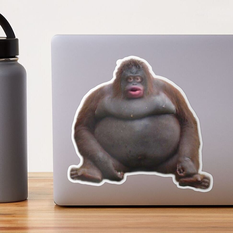 Uh Oh Stinky Wallpapers - Top Free Uh Oh Stinky Backgrounds ...