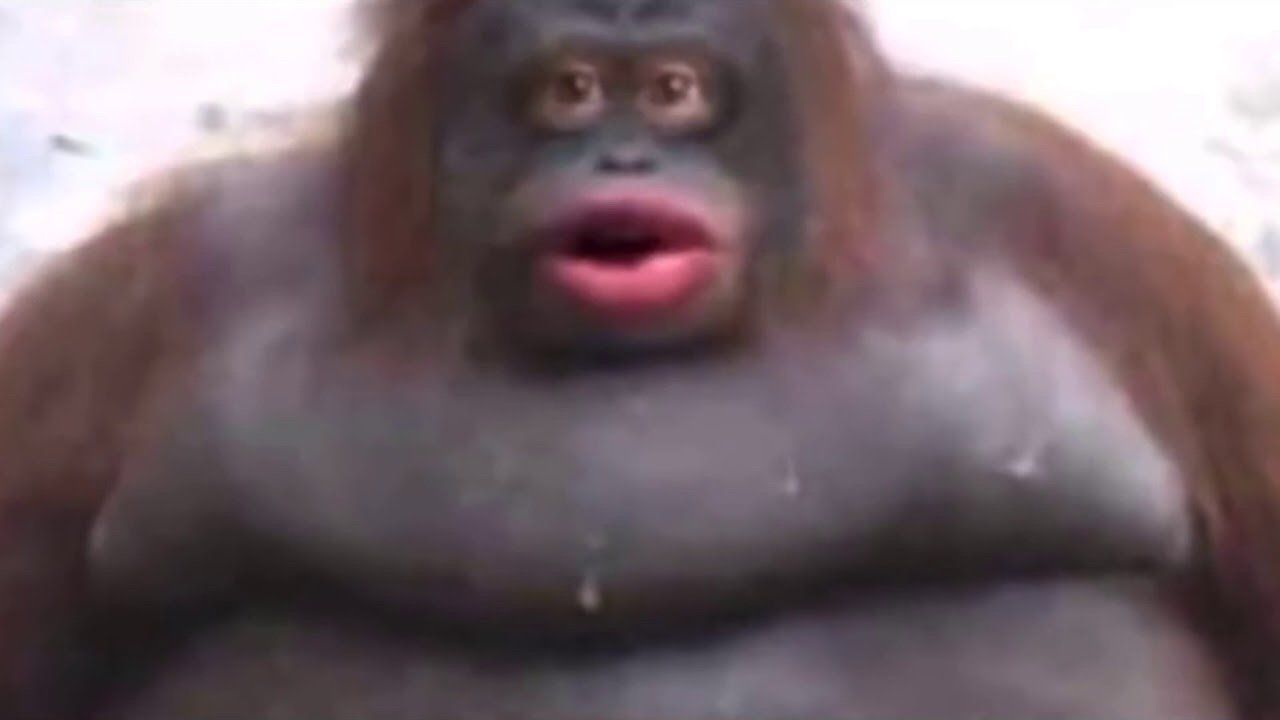 Uh Oh Stinky Wallpapers - Top Free Uh Oh Stinky Backgrounds ...