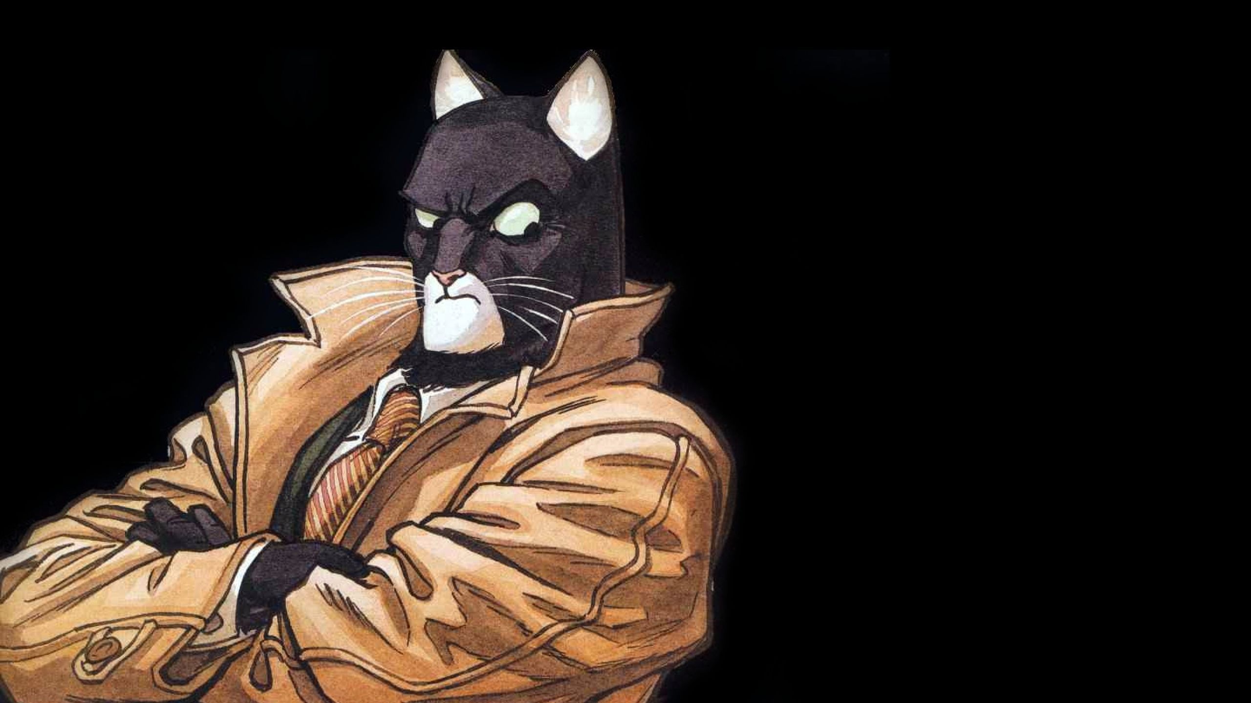 Blacksad Wallpapers - Top Free Blacksad Backgrounds - WallpaperAccess