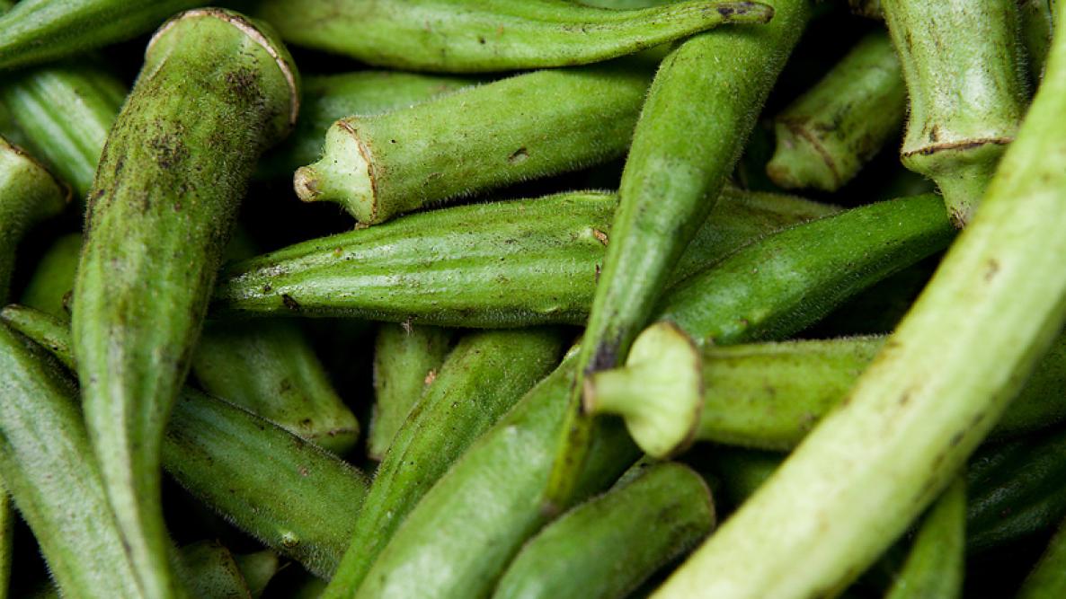 Okra Wallpapers - Top Free Okra Backgrounds - WallpaperAccess