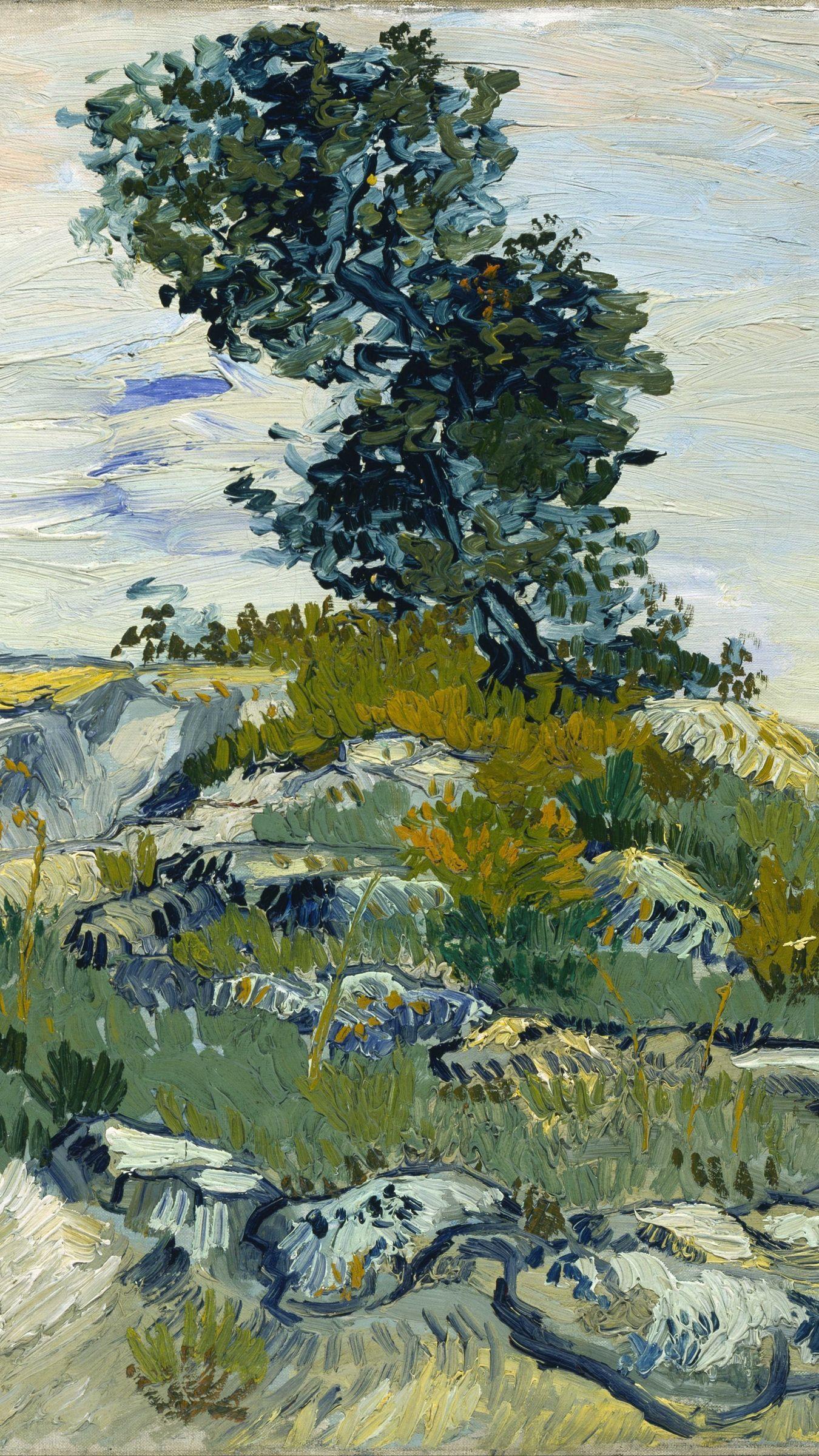Van Gogh Phone Wallpapers - Top Free Van Gogh Phone Backgrounds ...