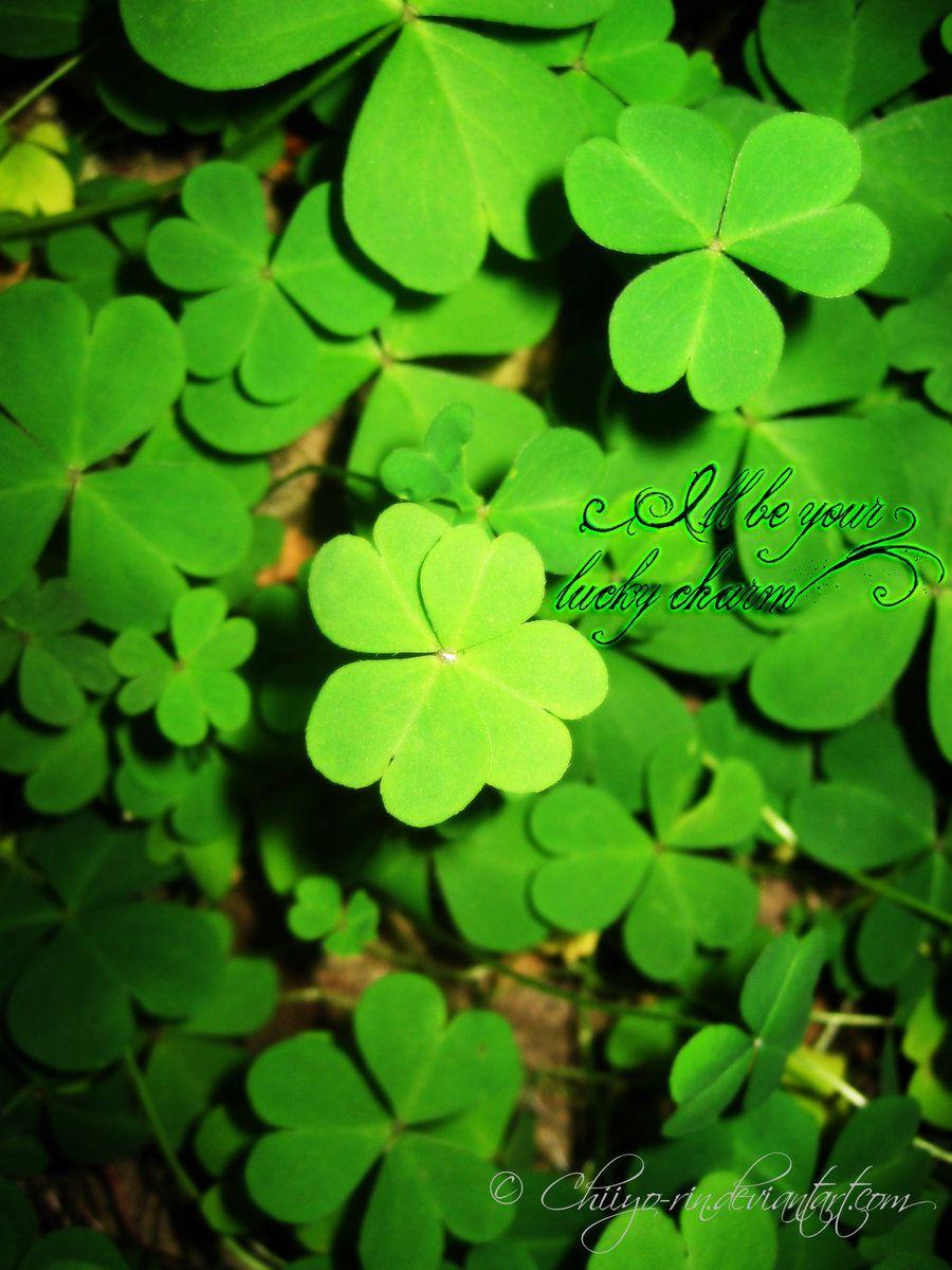 Lucky Charm Wallpapers - Top Free Lucky Charm Backgrounds - WallpaperAccess