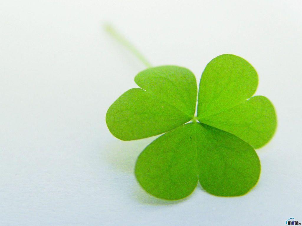 Lucky Charm Wallpapers - Top Free Lucky Charm Backgrounds - WallpaperAccess