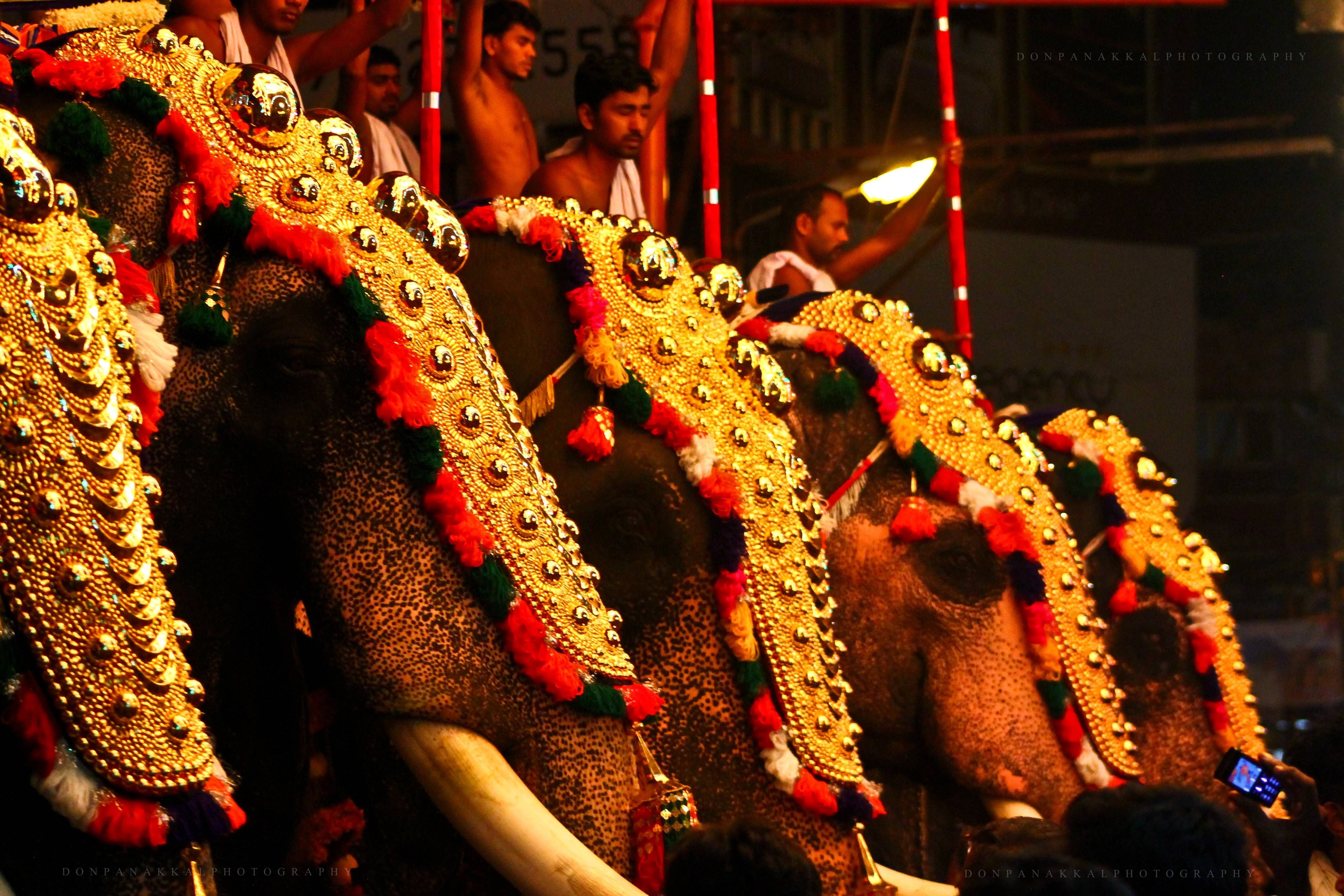 Pooram Wallpapers - Top Free Pooram Backgrounds - WallpaperAccess