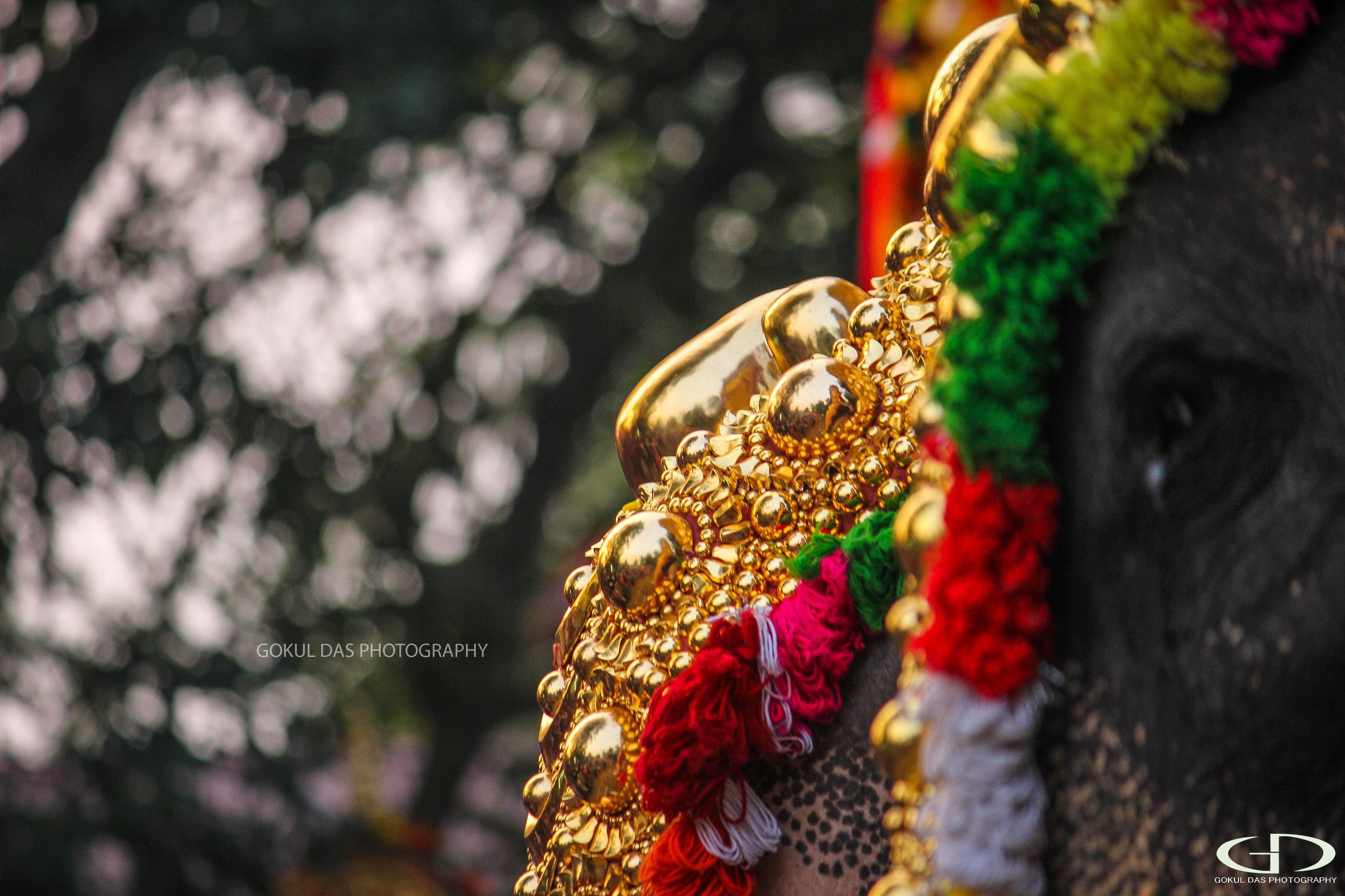 Pooram Wallpapers - Top Free Pooram Backgrounds - WallpaperAccess