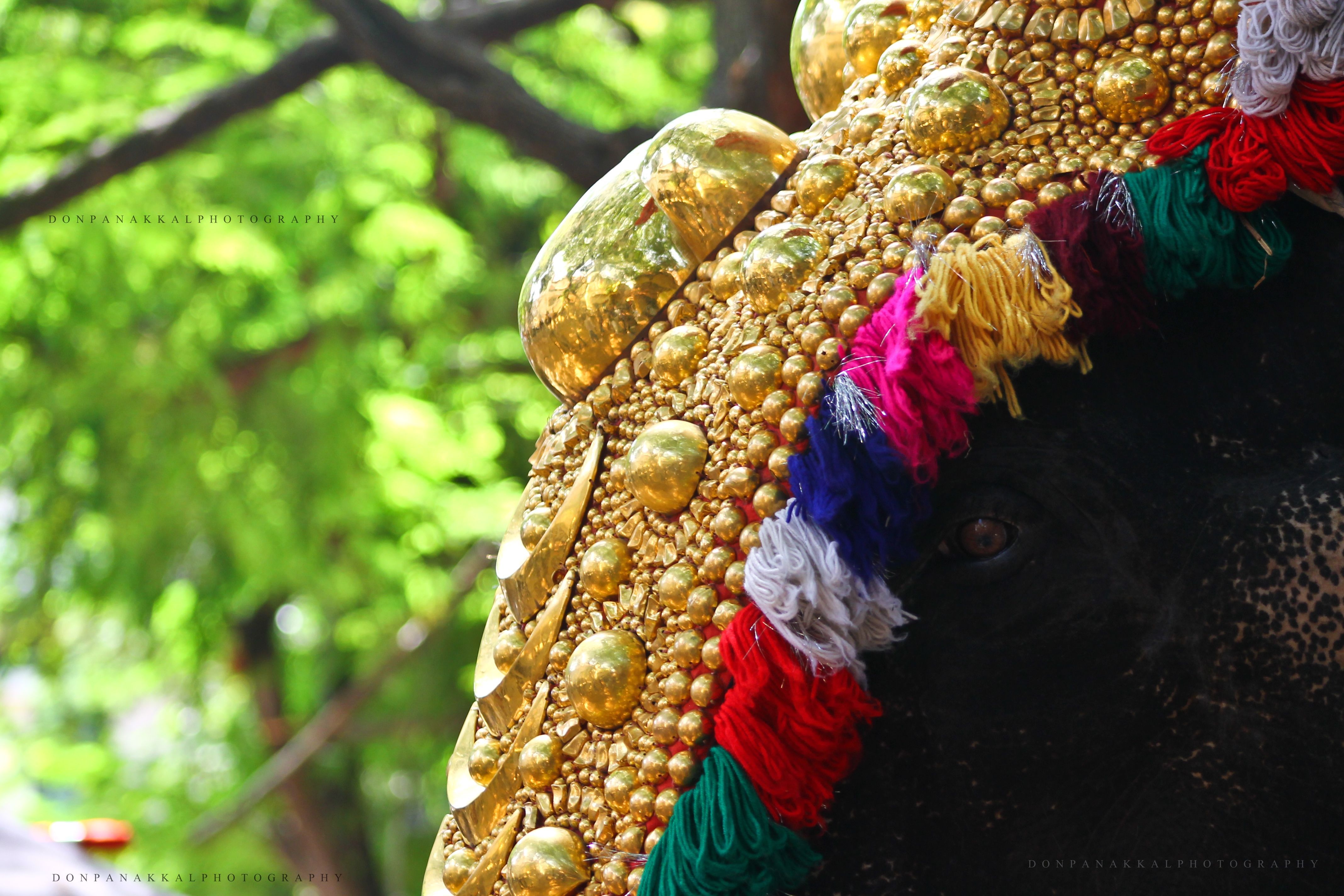 Pooram Wallpapers - Top Free Pooram Backgrounds - WallpaperAccess