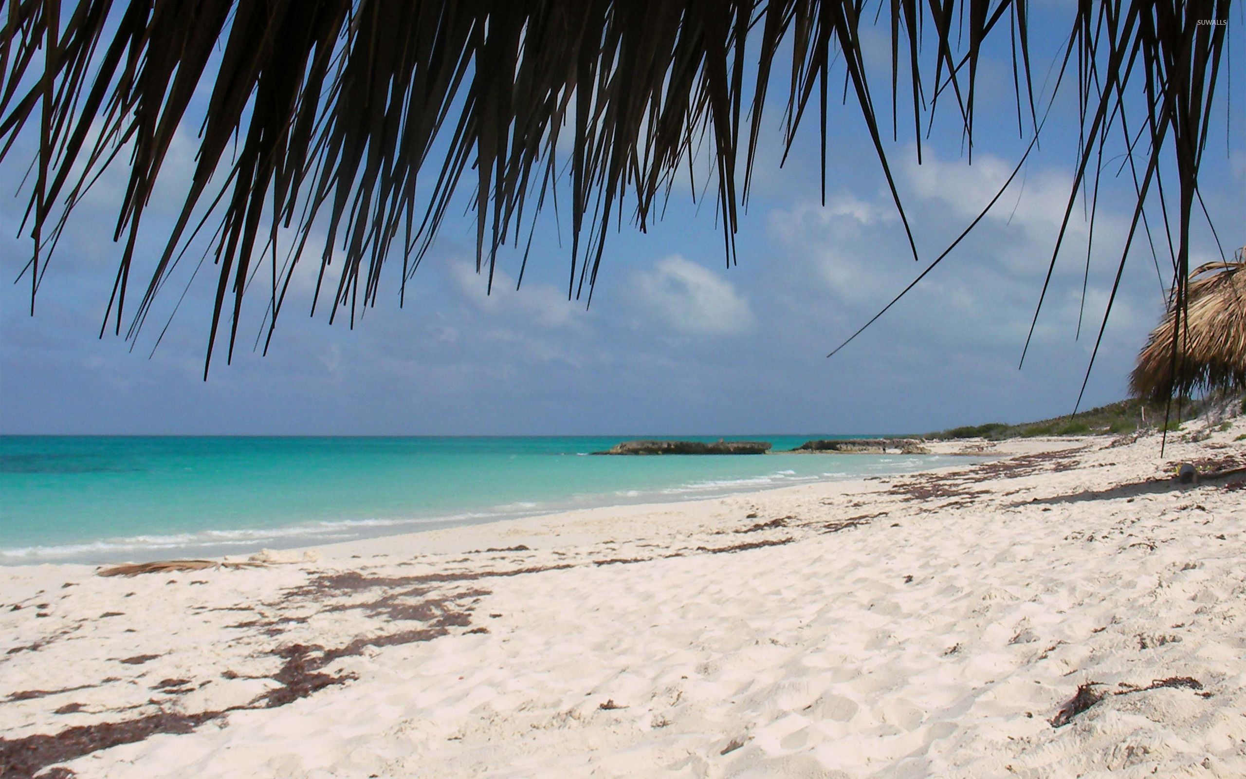 Santa Maria Wallpapers - Top Free Santa Maria Backgrounds - WallpaperAccess