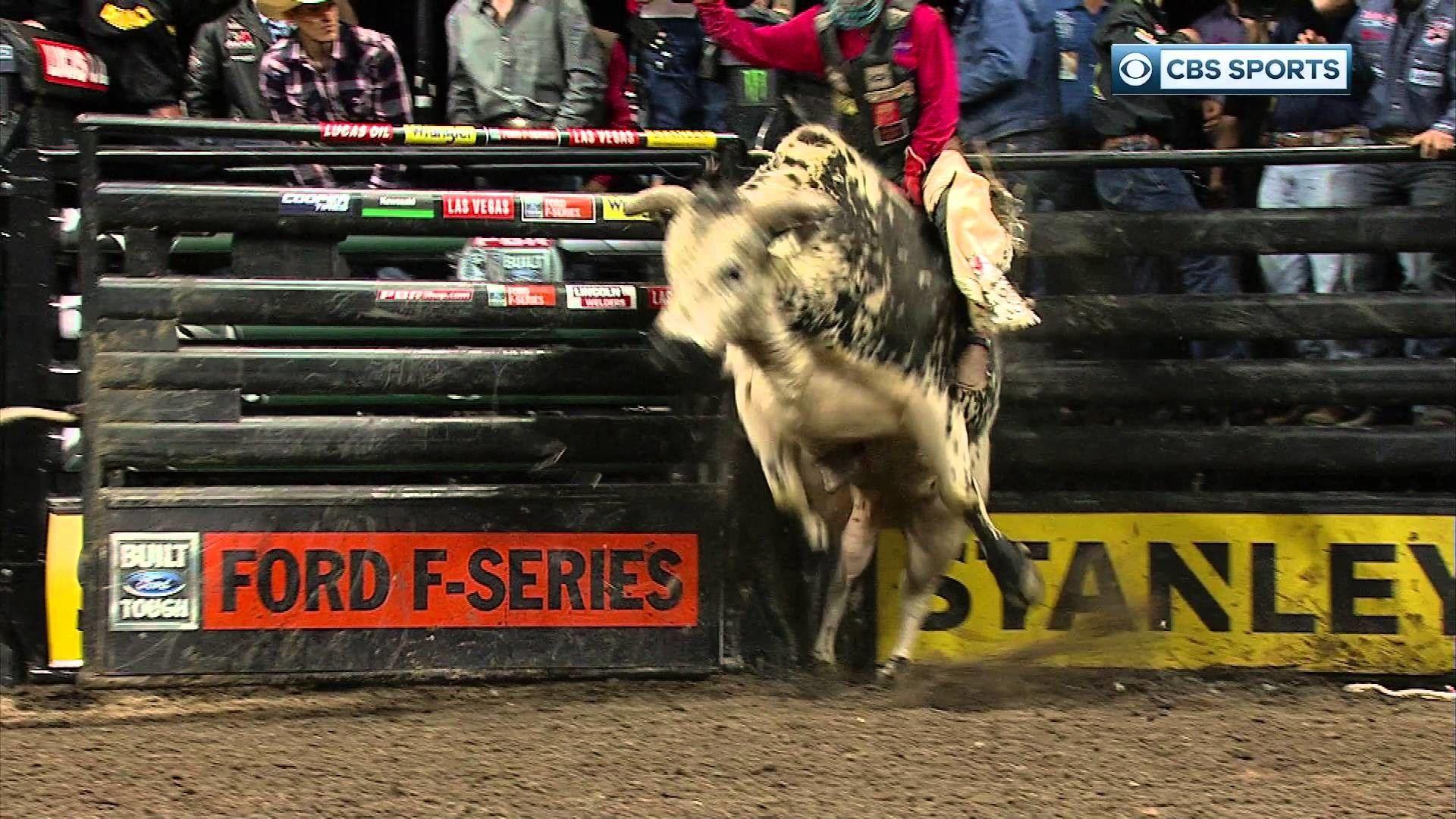 Bull Riding Wallpapers - Top Free Bull Riding Backgrounds - WallpaperAccess