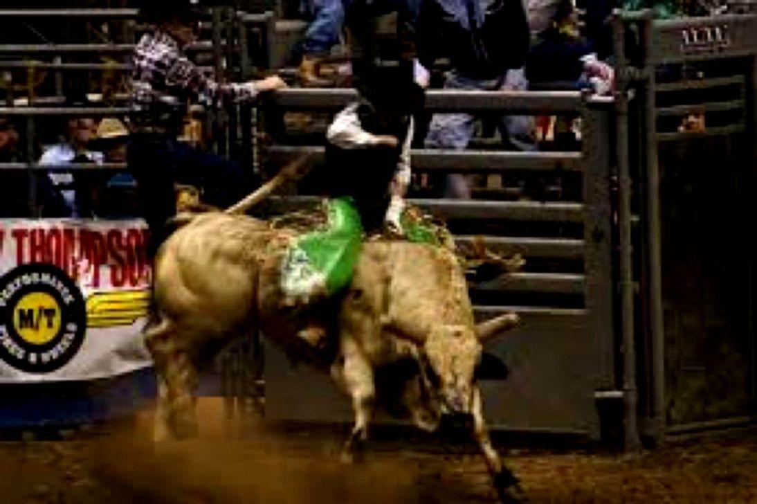 Bull Riding Wallpapers - Top Free Bull Riding Backgrounds - WallpaperAccess