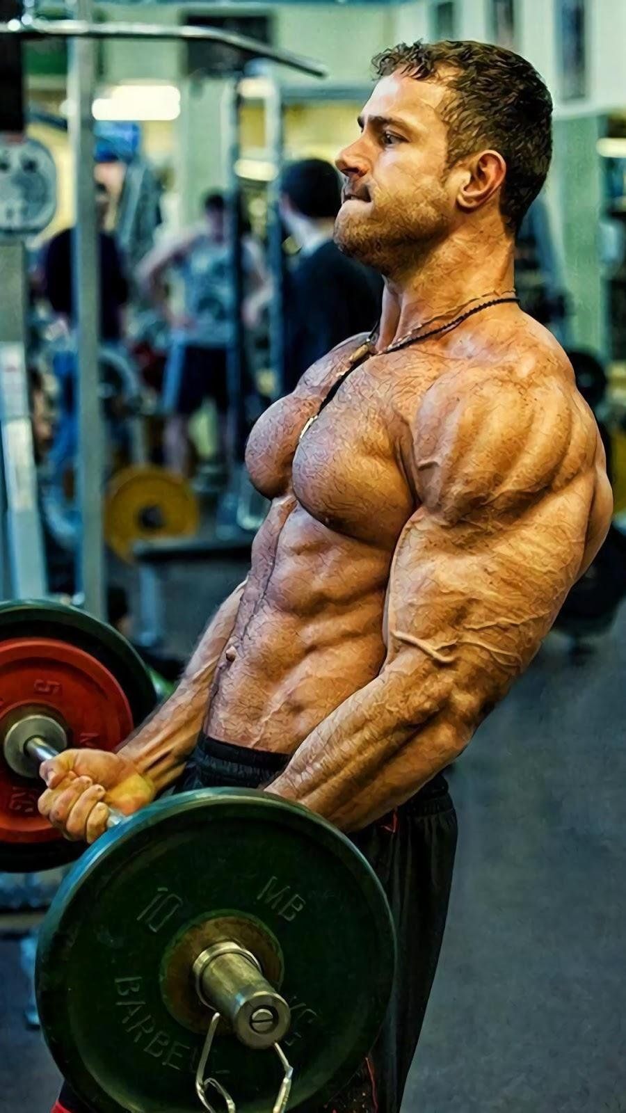 Muscular Body Wallpapers - Top Free Muscular Body Backgrounds ...