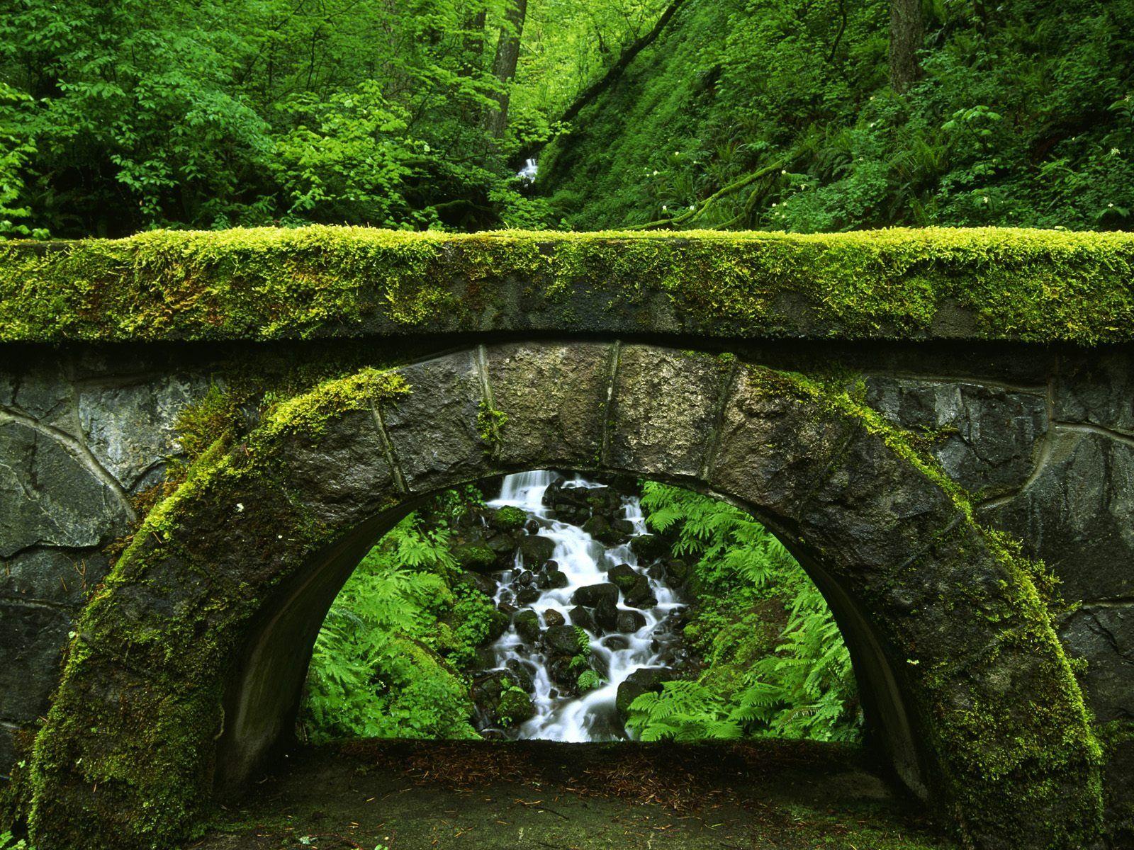 Bridge Wallpapers - Top Free Bridge Backgrounds - WallpaperAccess