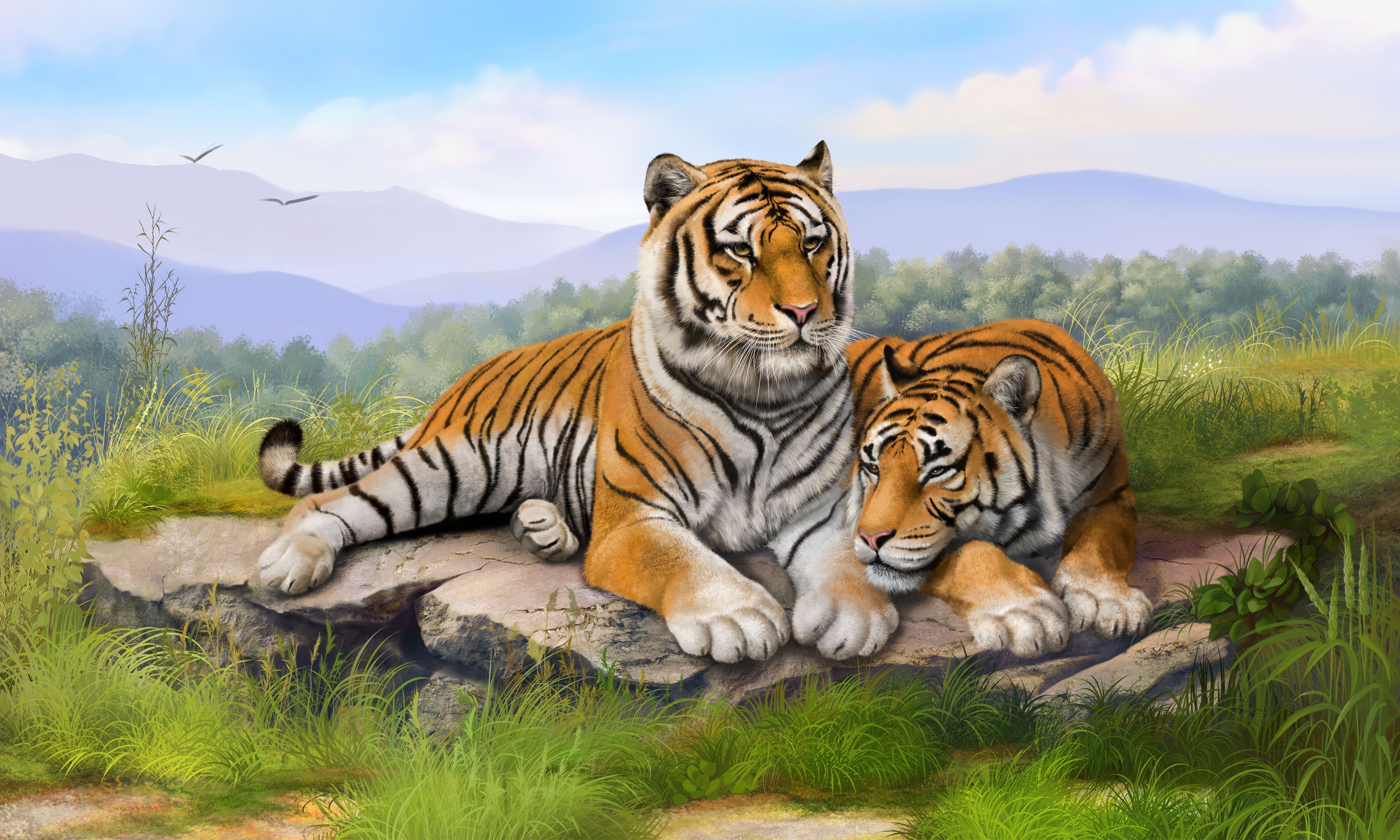 Tiger Family Wallpapers - Top Free Tiger Family Backgrounds ...