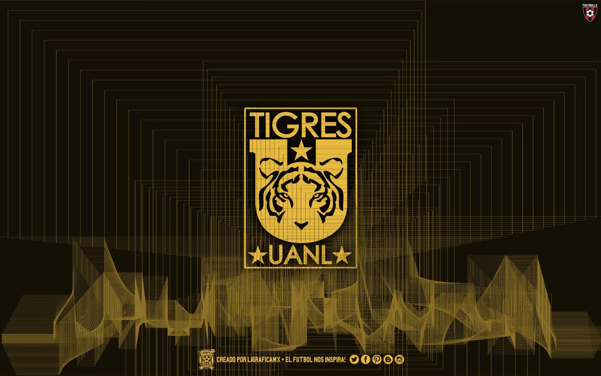 Tigres UANL Wallpapers - Top Free Tigres UANL Backgrounds - WallpaperAccess
