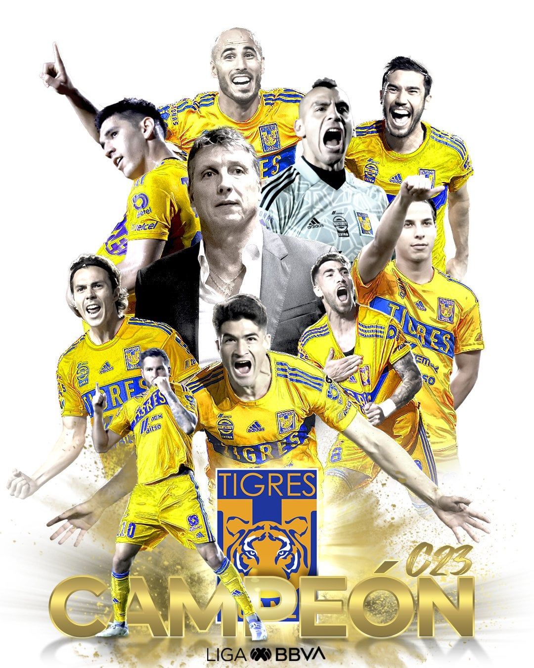 Tigres UANL Wallpapers - Top Free Tigres UANL Backgrounds - WallpaperAccess