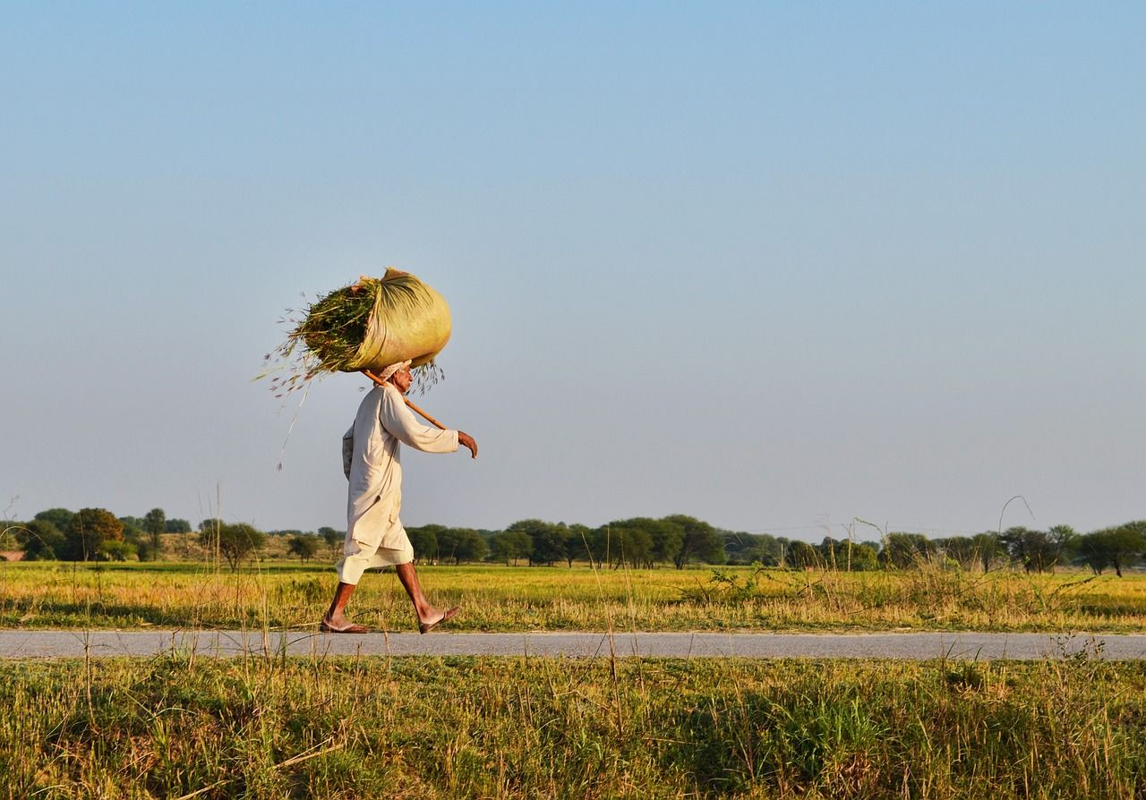 Village Life Wallpapers - Top Free Village Life Backgrounds ...