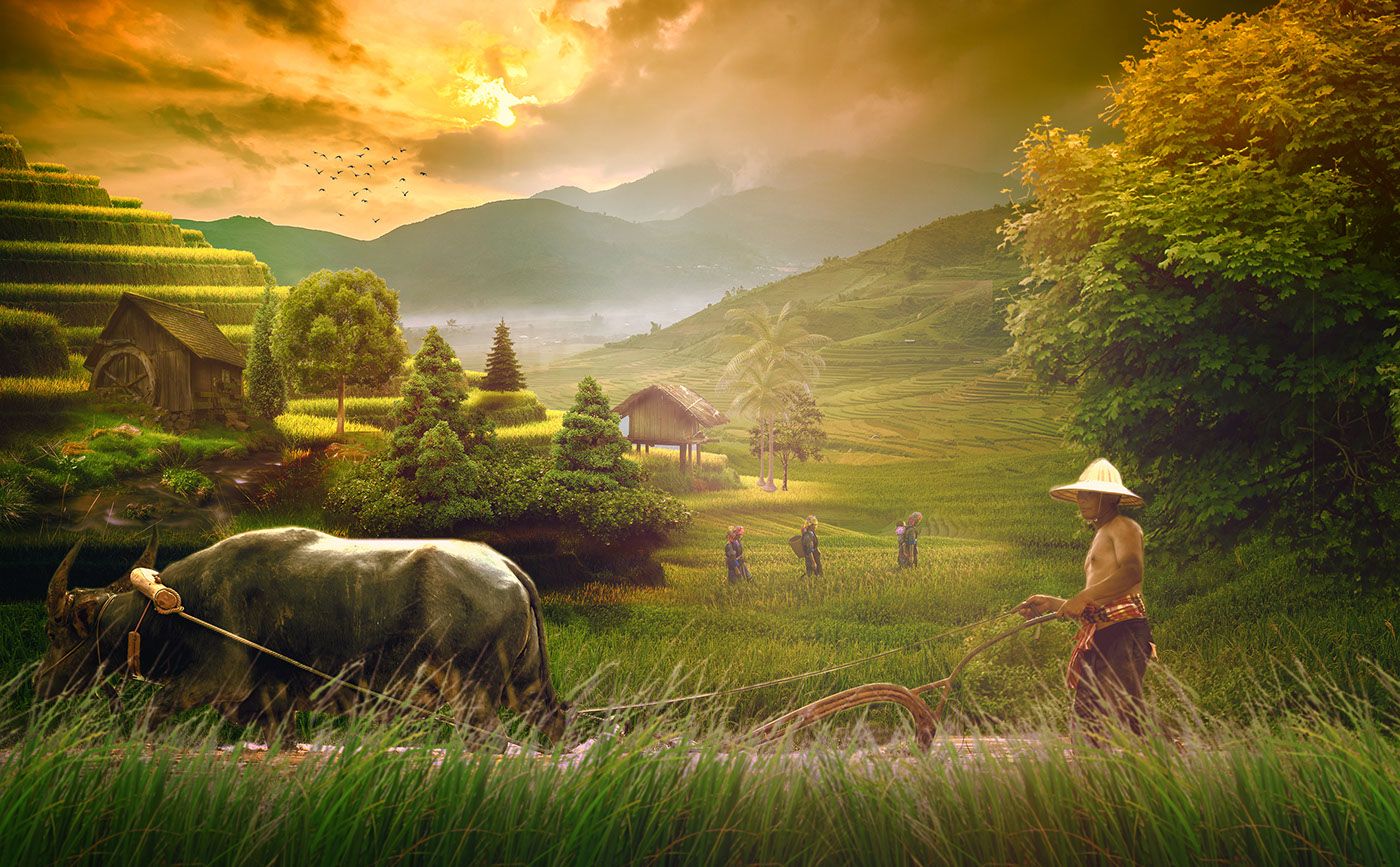 Village Life Wallpapers - Top Free Village Life Backgrounds ...