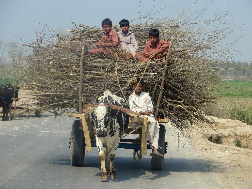 Village Life Wallpapers - Top Free Village Life Backgrounds ...