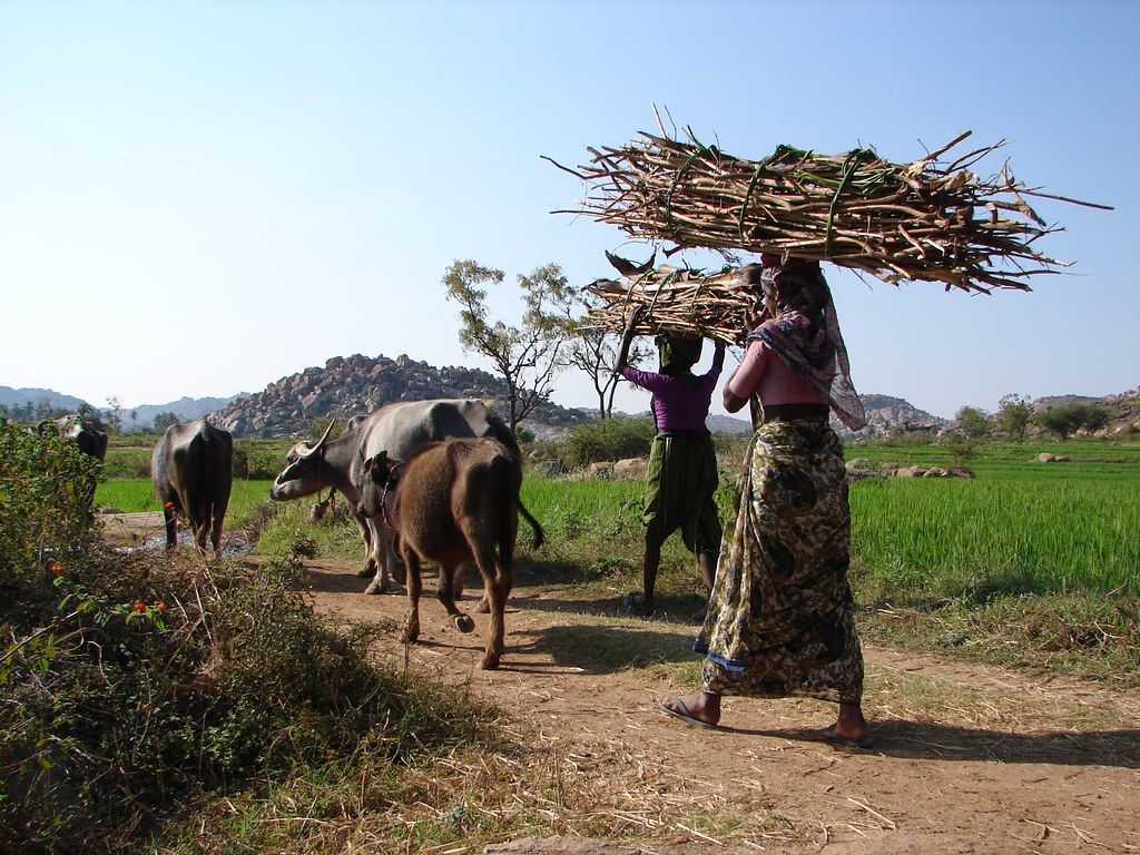 Village Life Wallpapers - Top Free Village Life Backgrounds ...