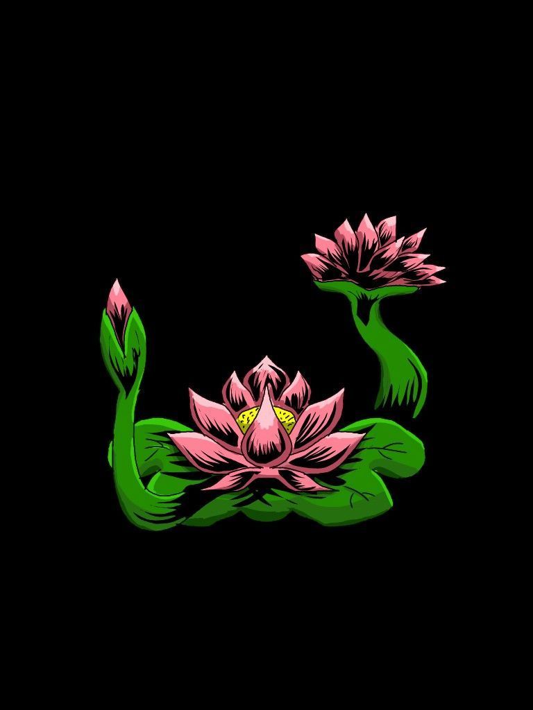 Teratai Wallpapers - Top Free Teratai Backgrounds - WallpaperAccess