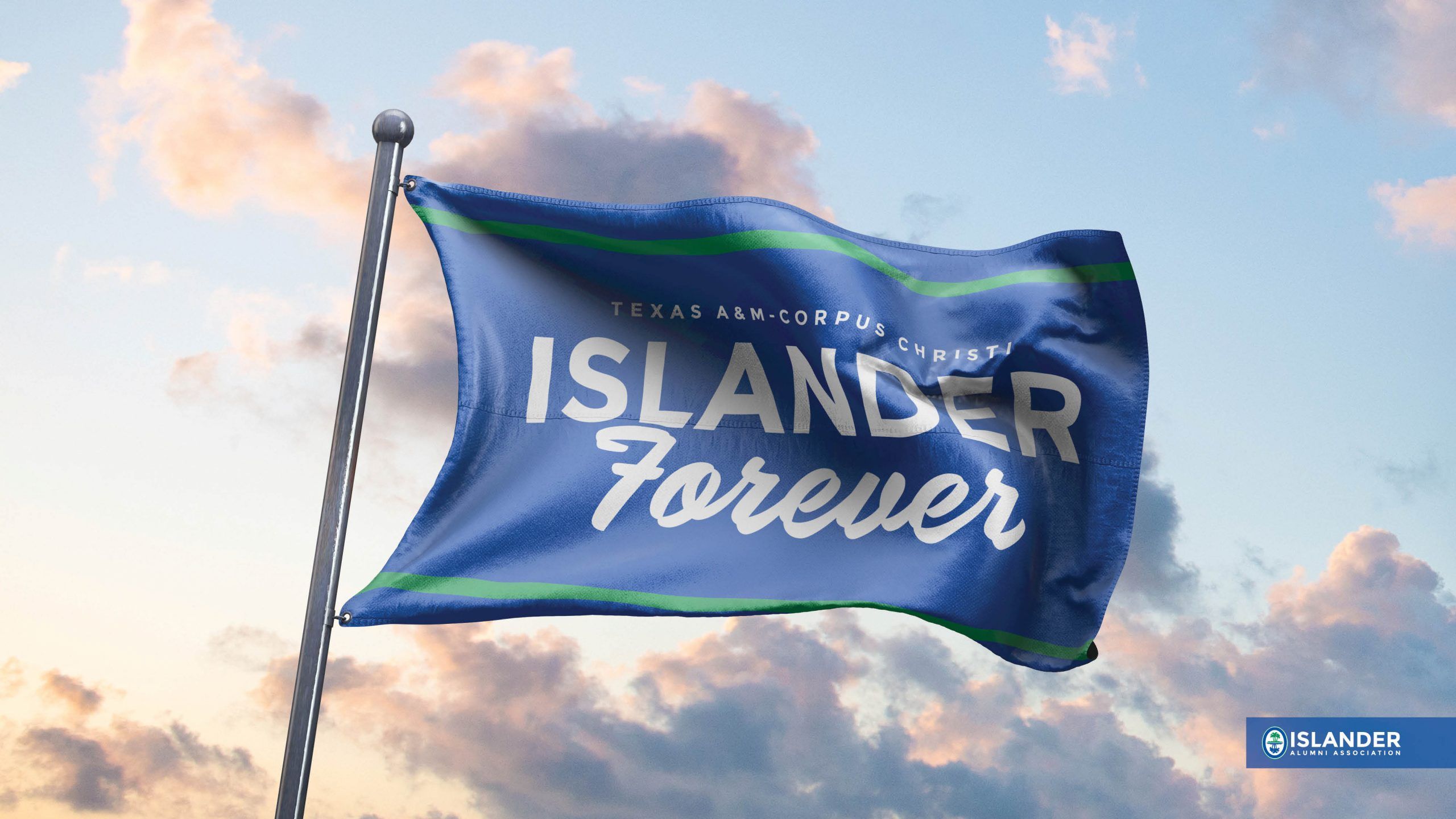 Alumni Wallpapers - Top Free Alumni Backgrounds - WallpaperAccess