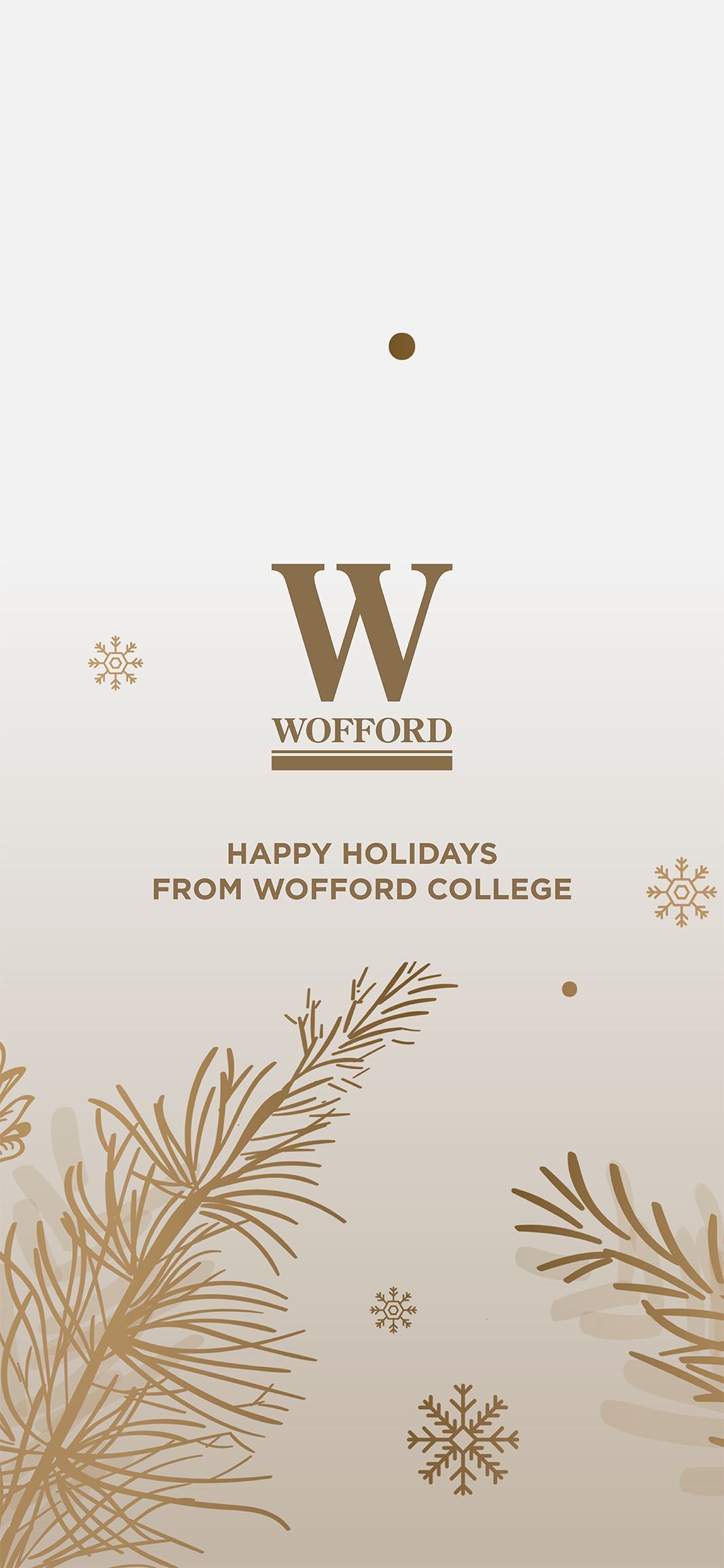 Alumni Wallpapers - Top Free Alumni Backgrounds - WallpaperAccess