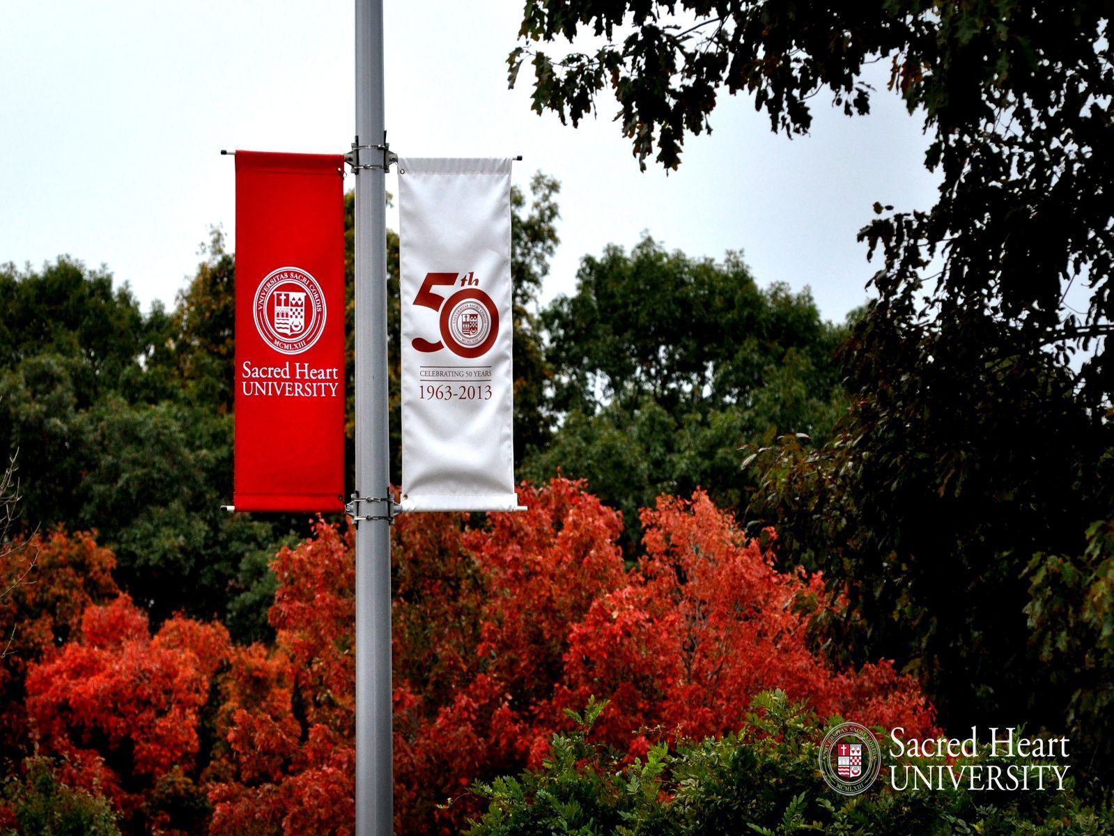 Alumni Wallpapers - Top Free Alumni Backgrounds - WallpaperAccess