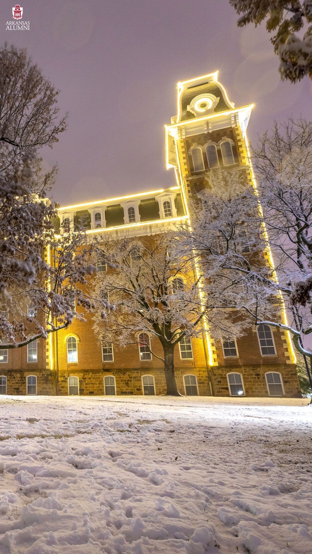 Alumni Wallpapers - Top Free Alumni Backgrounds - WallpaperAccess