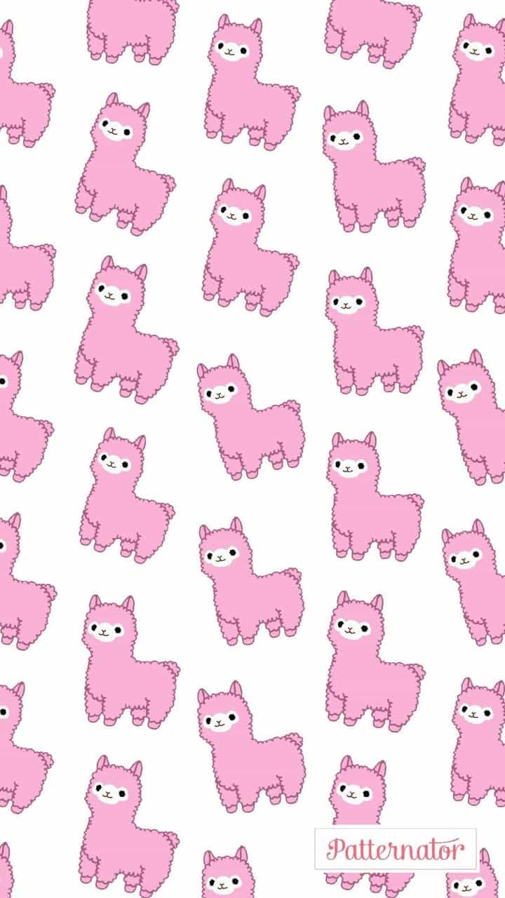 Cute Alpaca Wallpapers - Top Free Cute Alpaca Backgrounds - WallpaperAccess