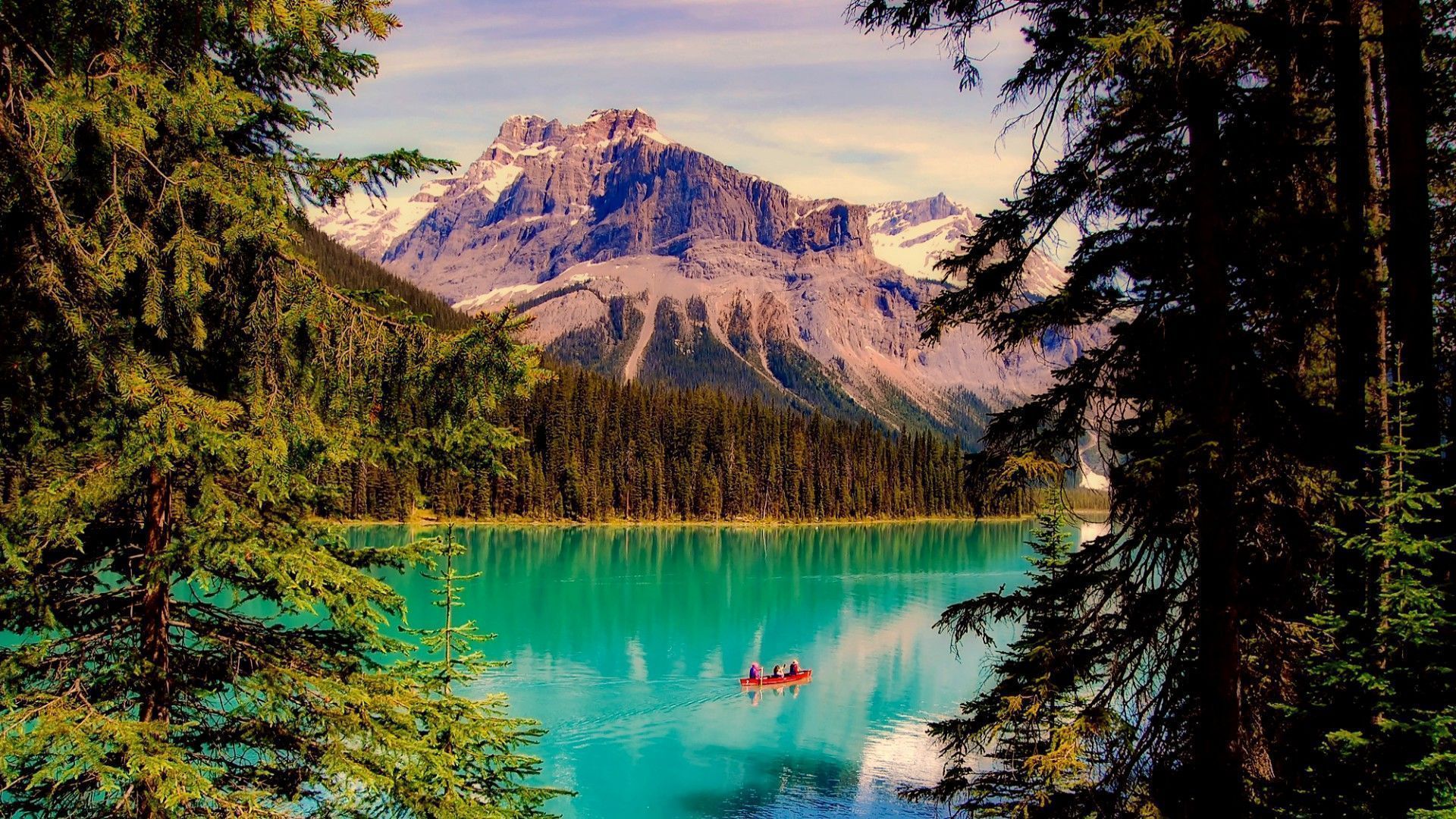 Forest View Wallpapers - Top Free Forest View Backgrounds - WallpaperAccess