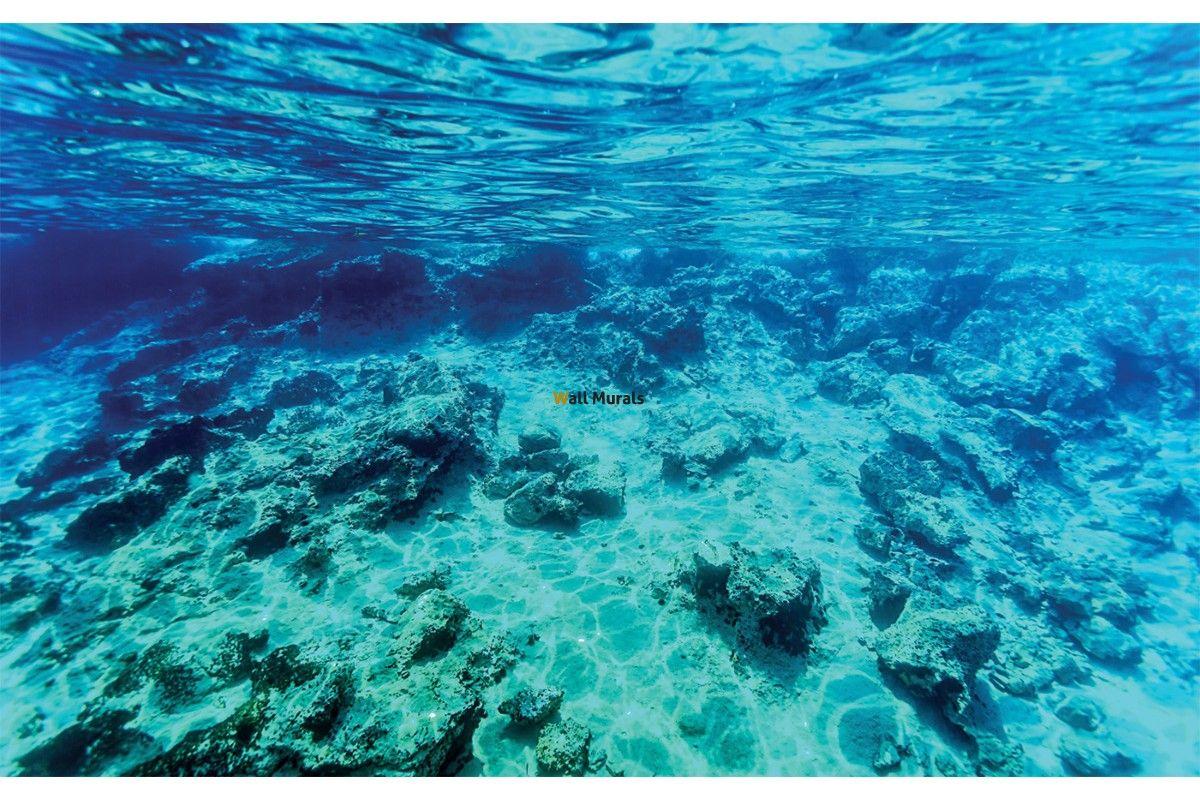 Beautiful Underwater Wallpapers - Top Free Beautiful Underwater ...