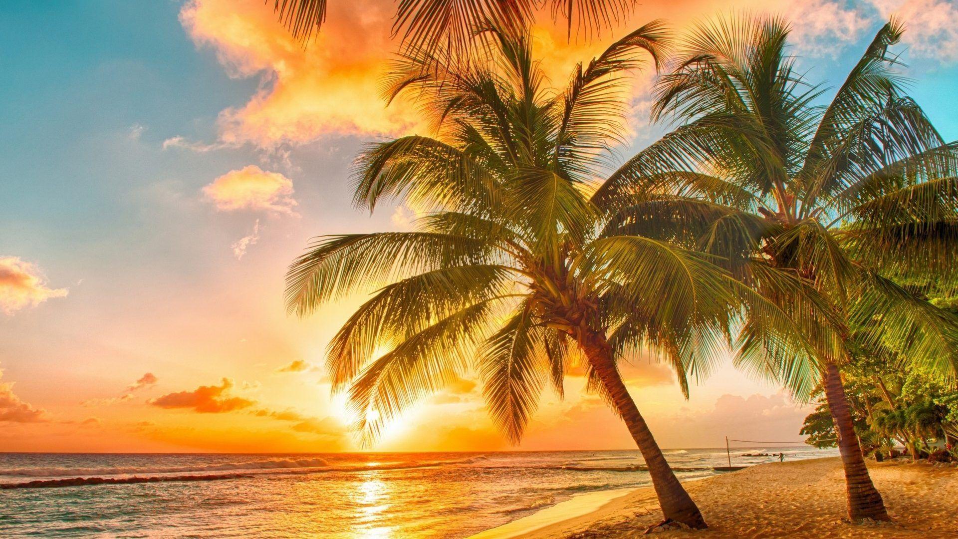 Tropical Sunset Wallpapers - Top Free Tropical Sunset Backgrounds ...
