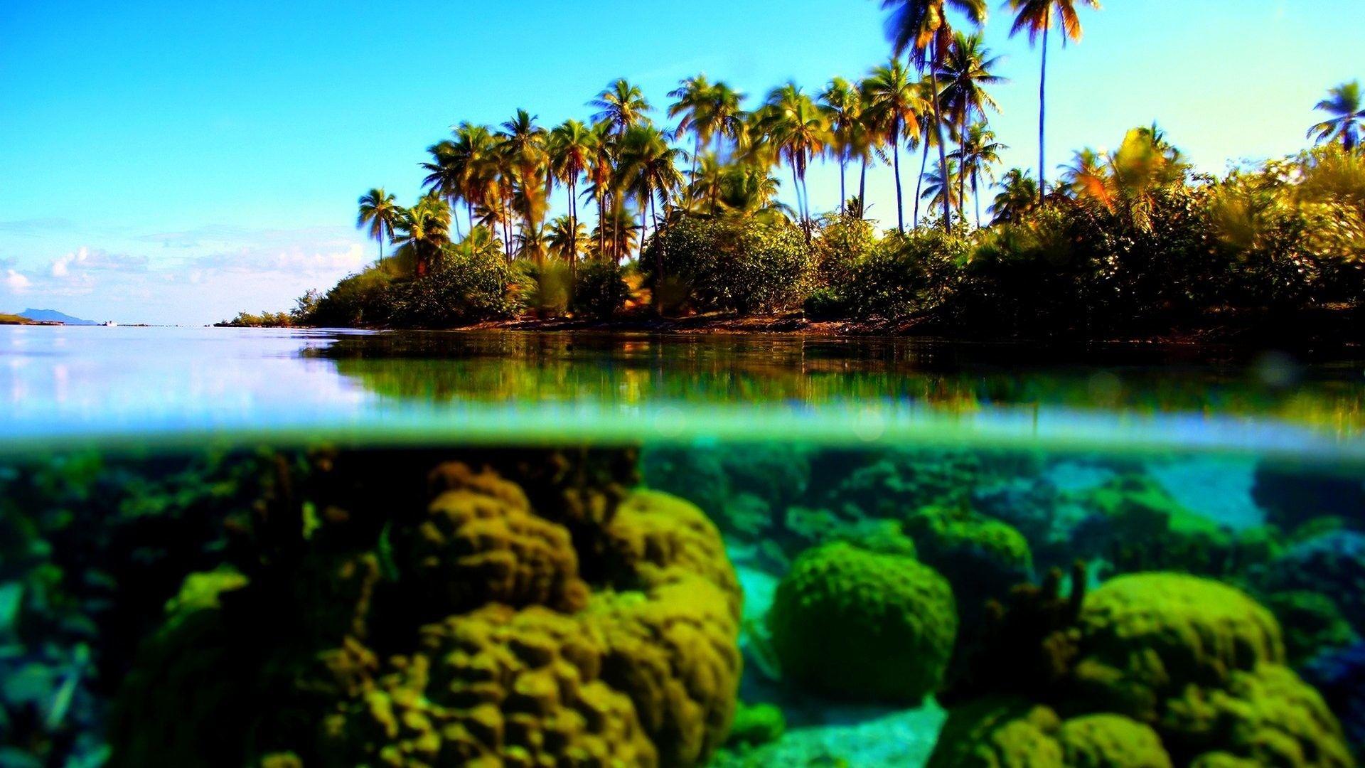 Beautiful Tropical Underwater Wallpapers - Top Free Beautiful Tropical ...